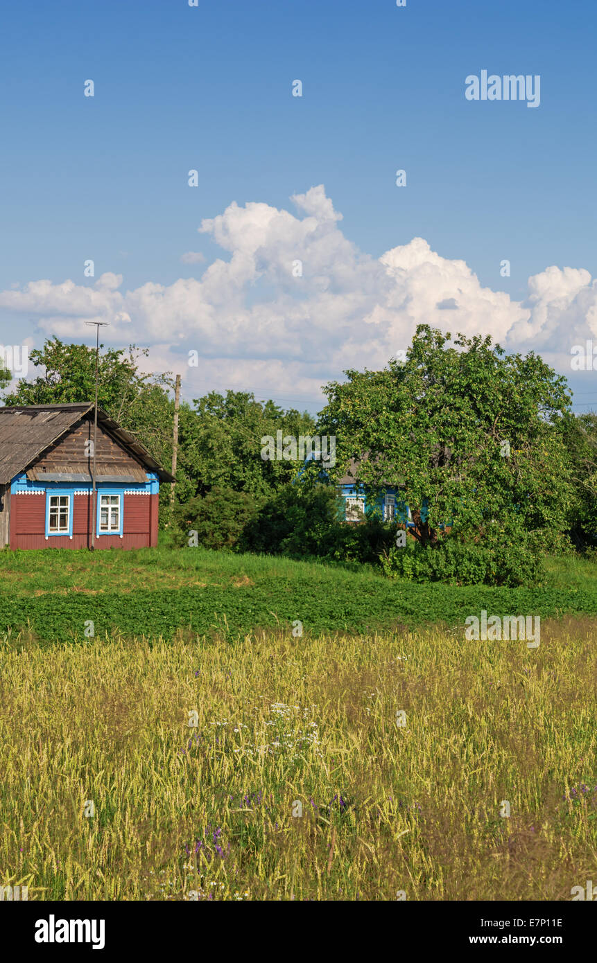 Wheat field and village house Stock Photo - Alamy