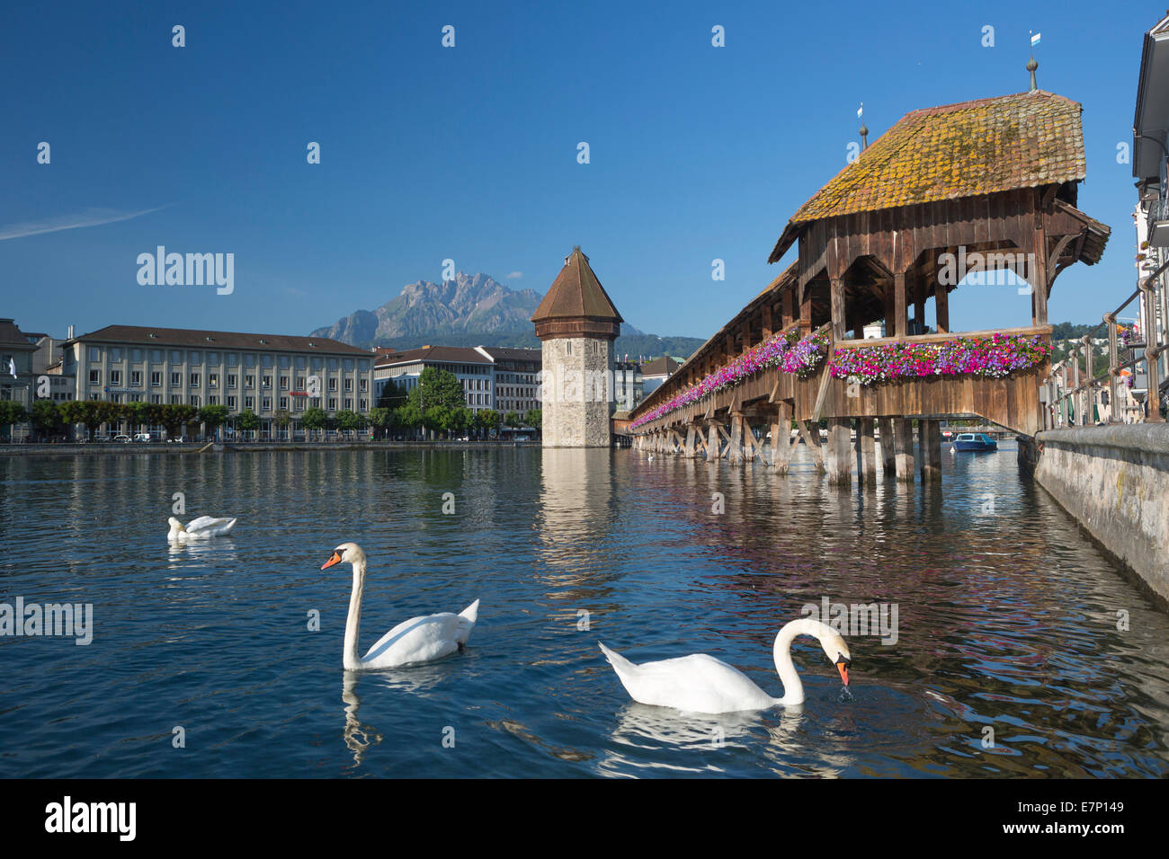 world heritage, Lucerne, Switzerland, Europe, architecture, bridge ...
