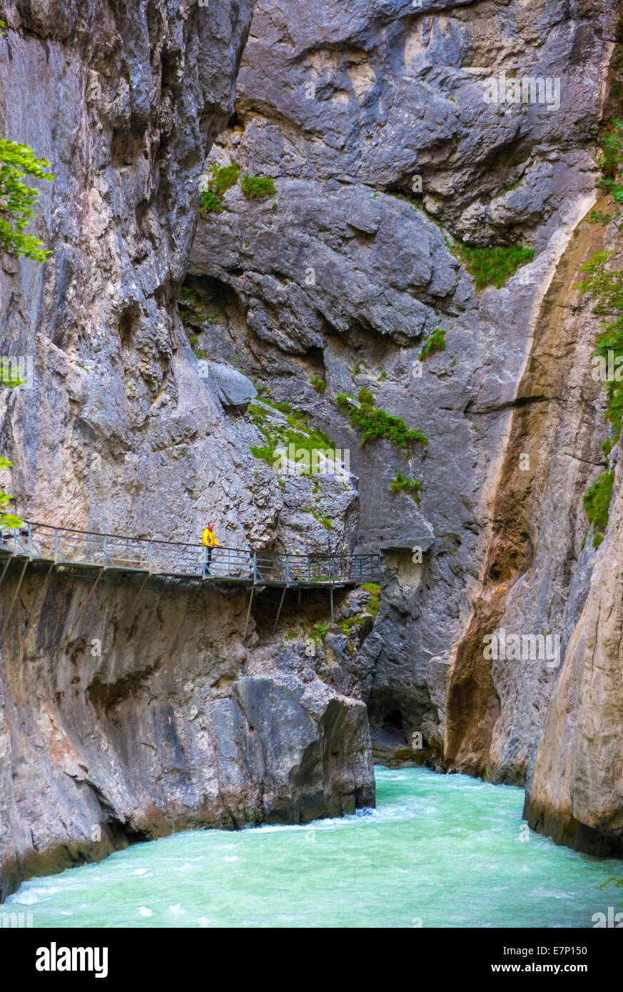 Aare, Gorge, canyon, Switzerland, Europe, geology, green, nature, park ...