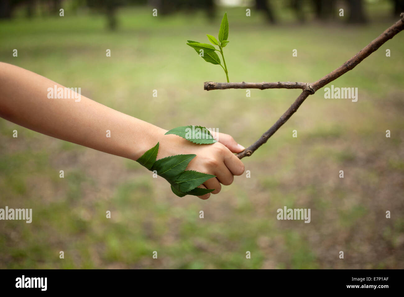 Environment concept. Handshake between human hand and tree Stock Photo ...