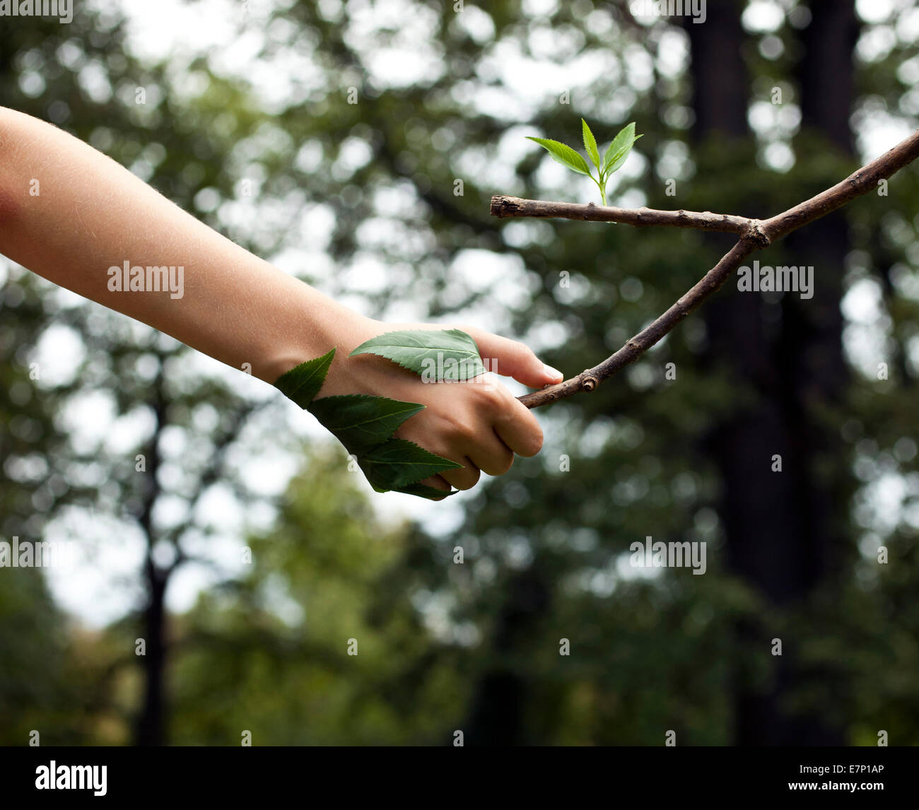 Environment concept. Handshake between human hand and tree Stock Photo ...