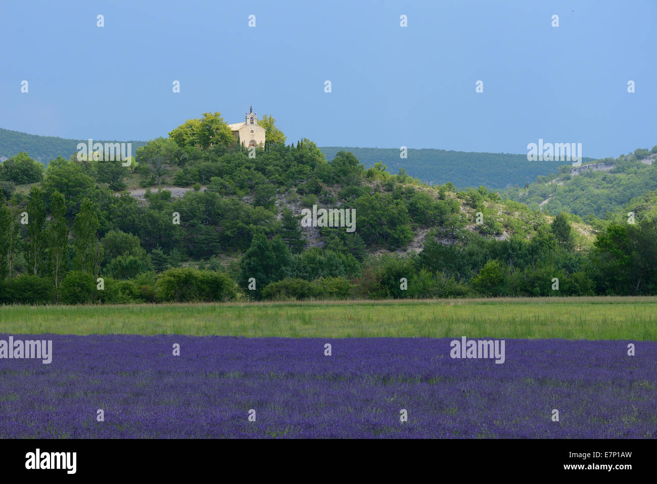 Europe, France, Provence, Alpes-de-Haute-Provence, chapel, landscape ...