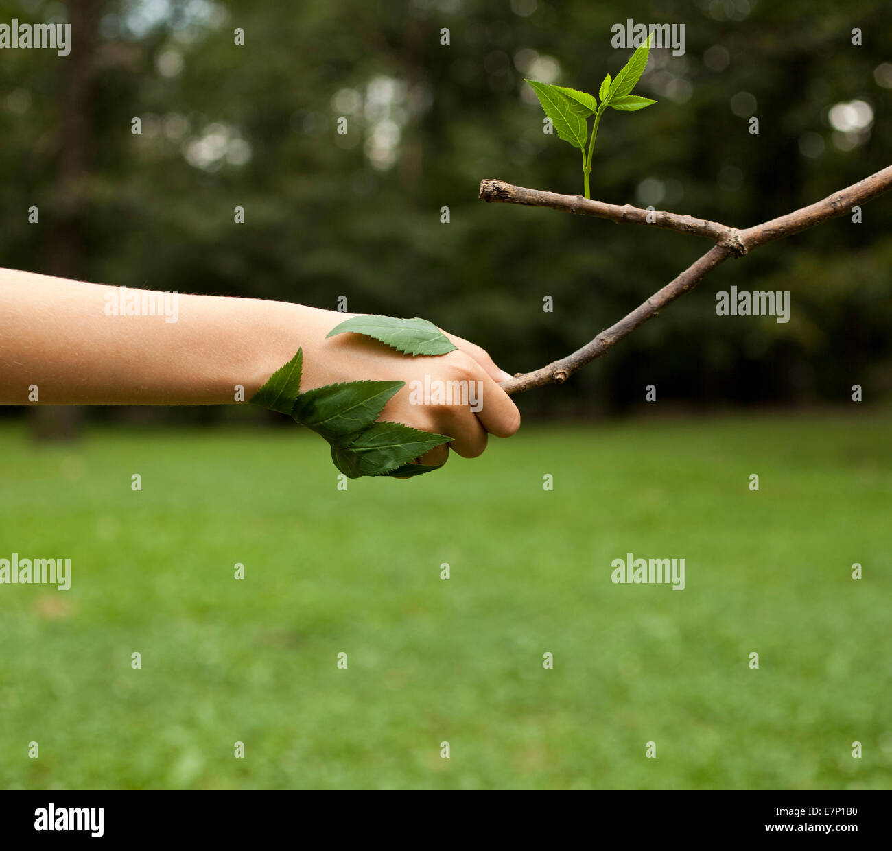 Environment concept. Handshake between human hand and tree Stock Photo ...