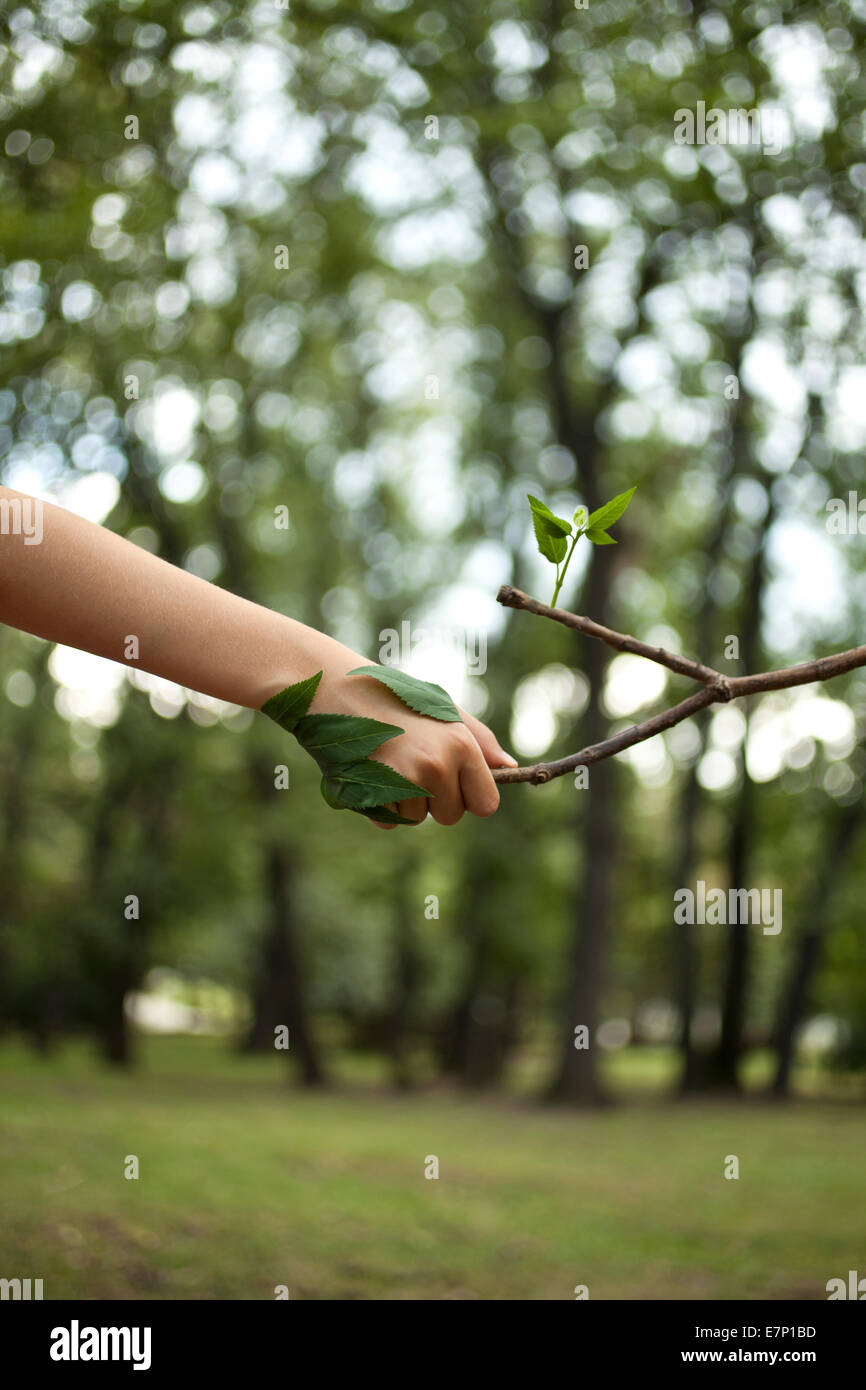 Environment concept. Handshake between human hand and tree Stock Photo ...