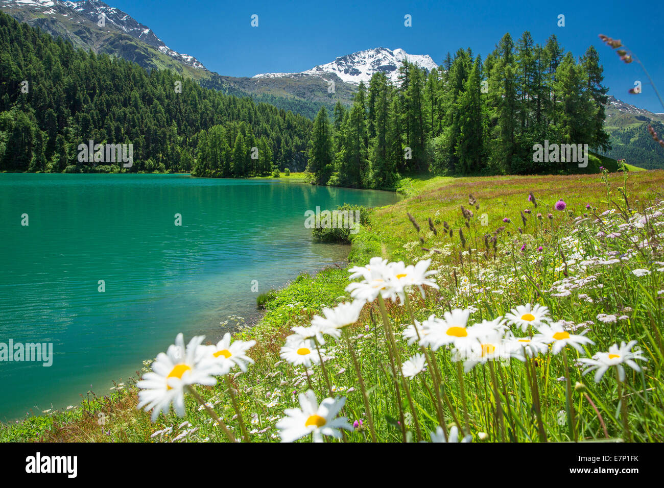 Engadin lakes hi-res stock photography and images - Alamy