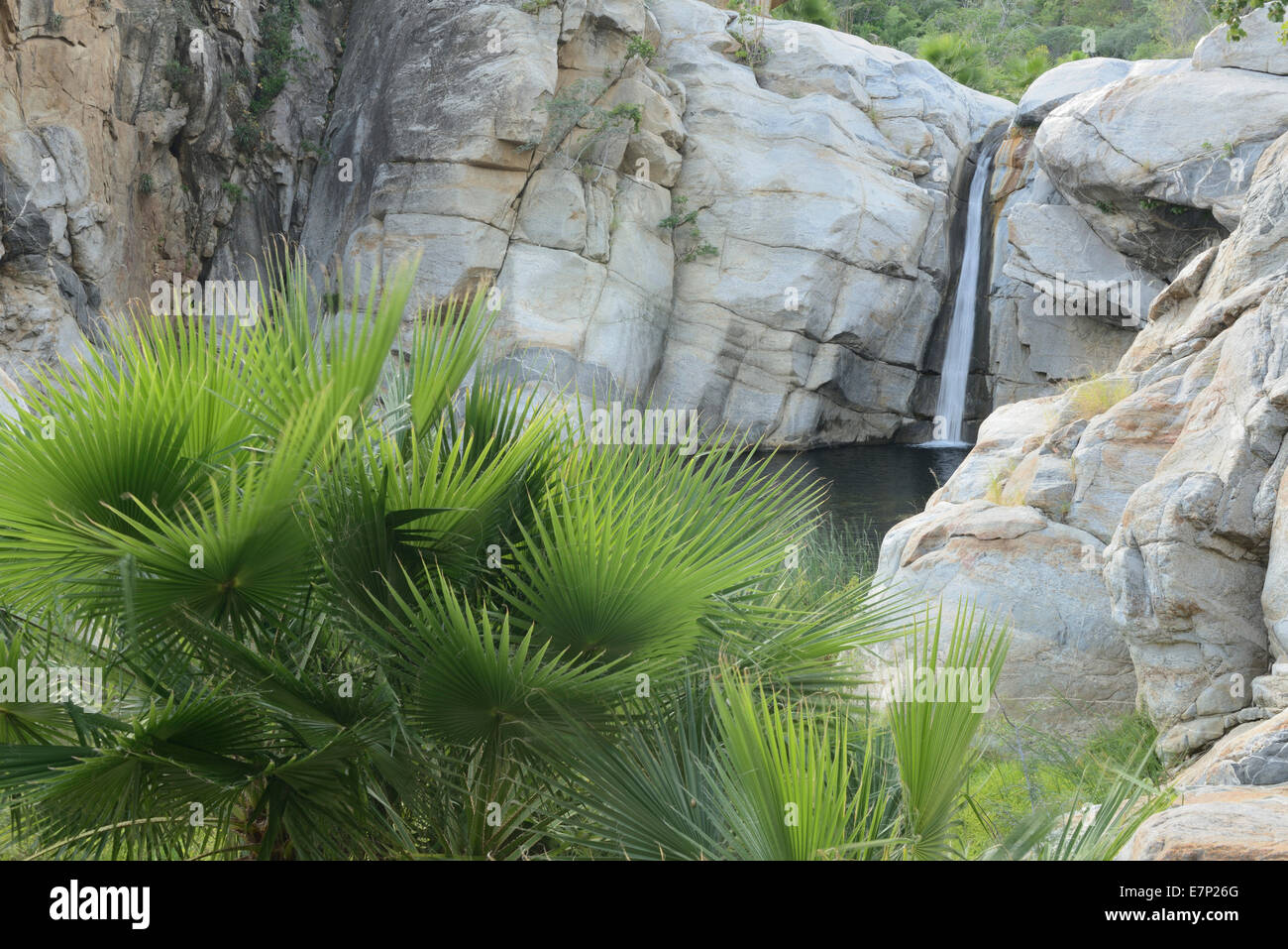 Mexico, North America, Baja, Baja California, Santiago, El Salto, fall ...