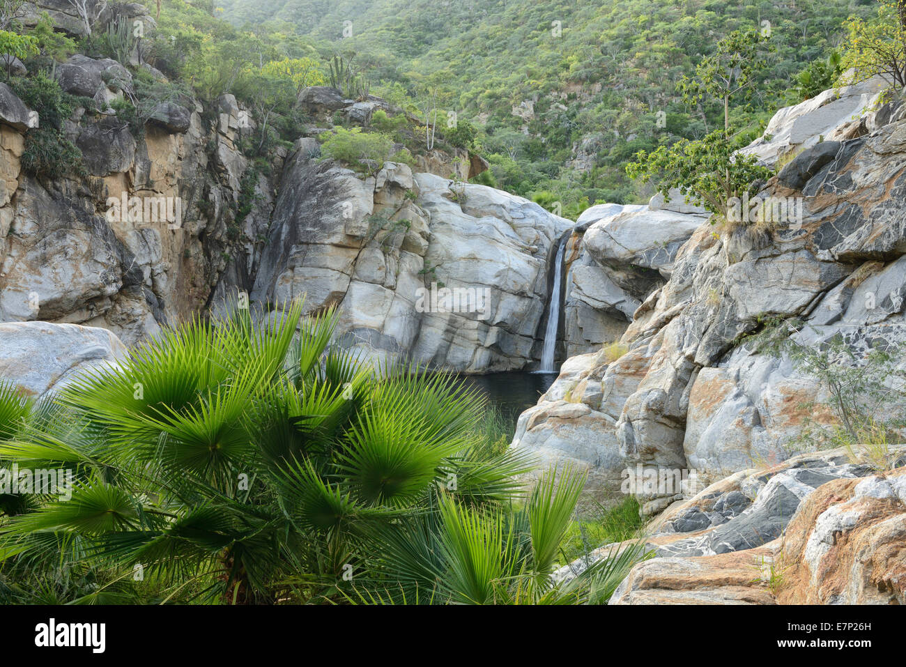 Mexico, North America, Baja, Baja California, Santiago, El Salto, fall ...