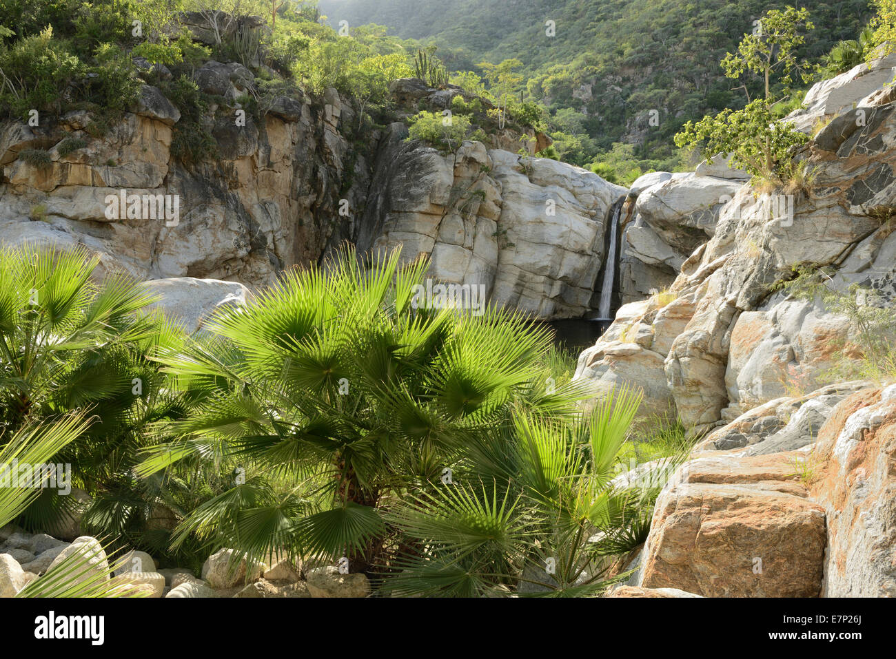 Mexico, North America, Baja, Baja California, Santiago, El Salto, fall ...