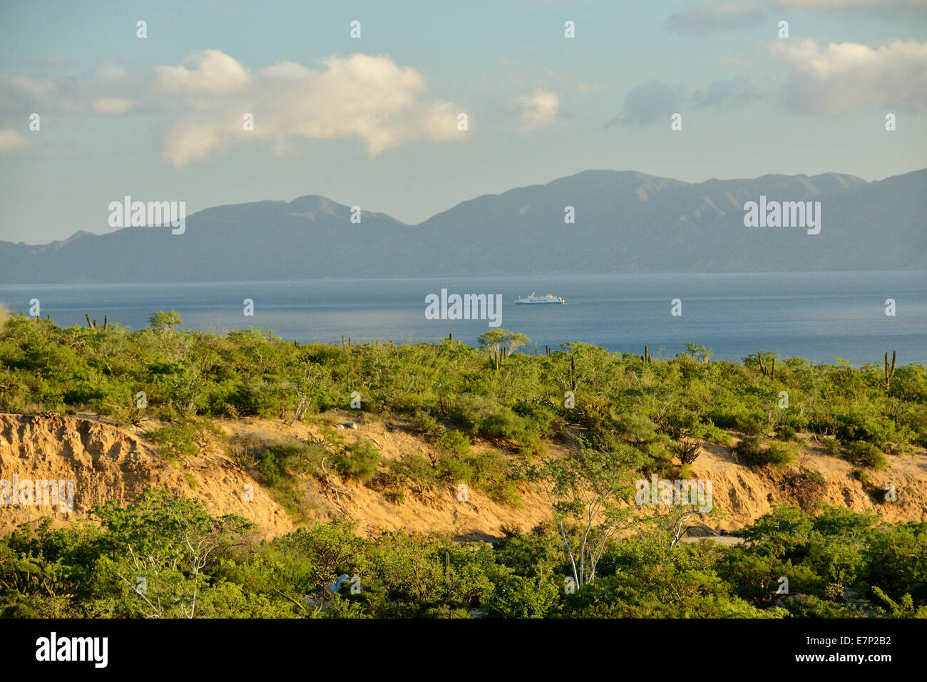 Mexico, North America, Baja, Baja California, La Ventana, Isla Cerralvo ...