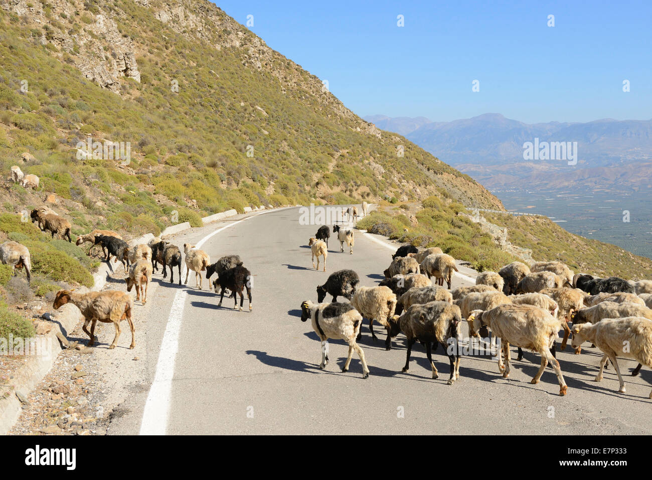 Kapetaniana crete hi-res stock photography and images - Alamy