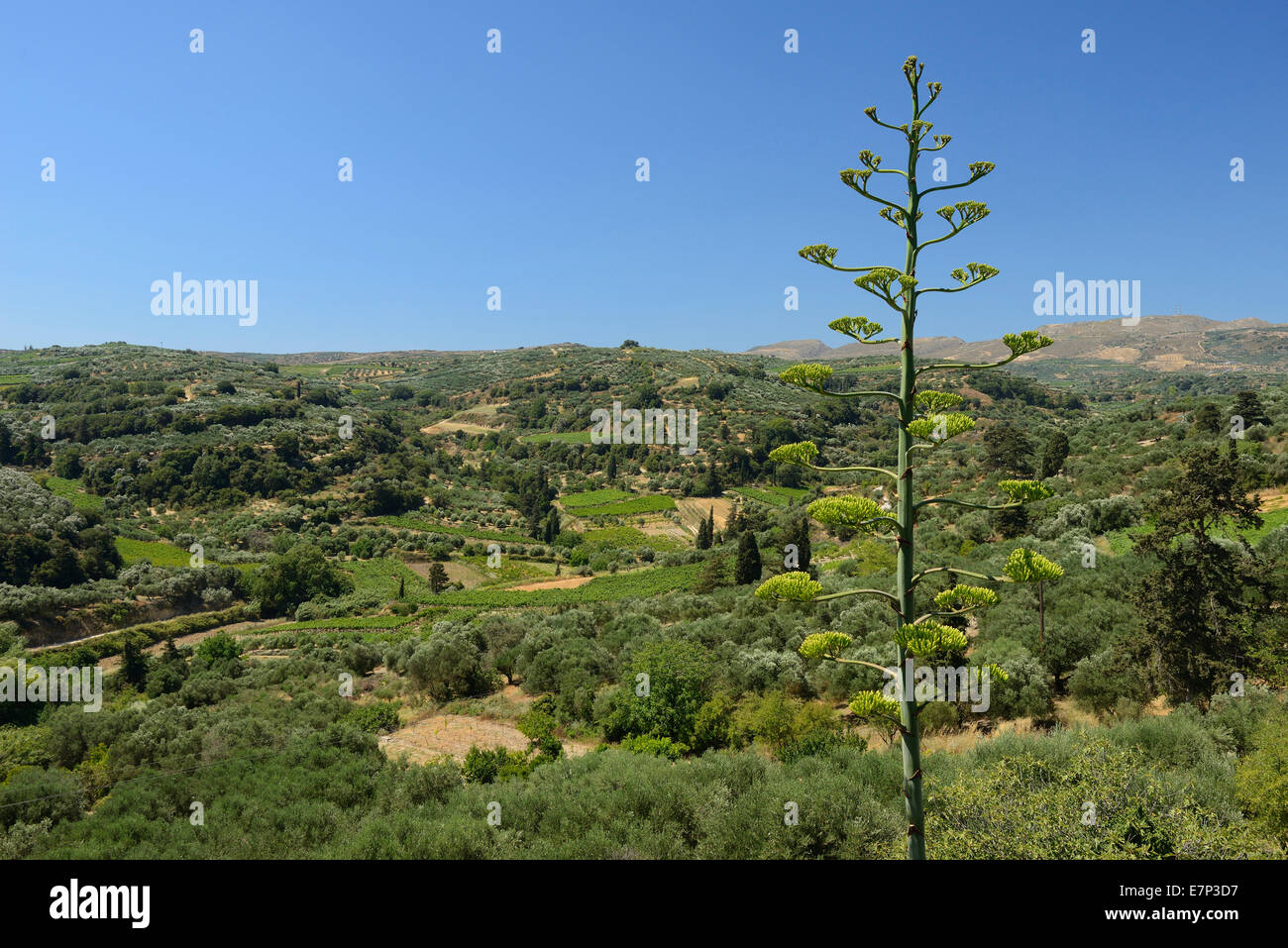 Peza crete hi-res stock photography and images - Alamy