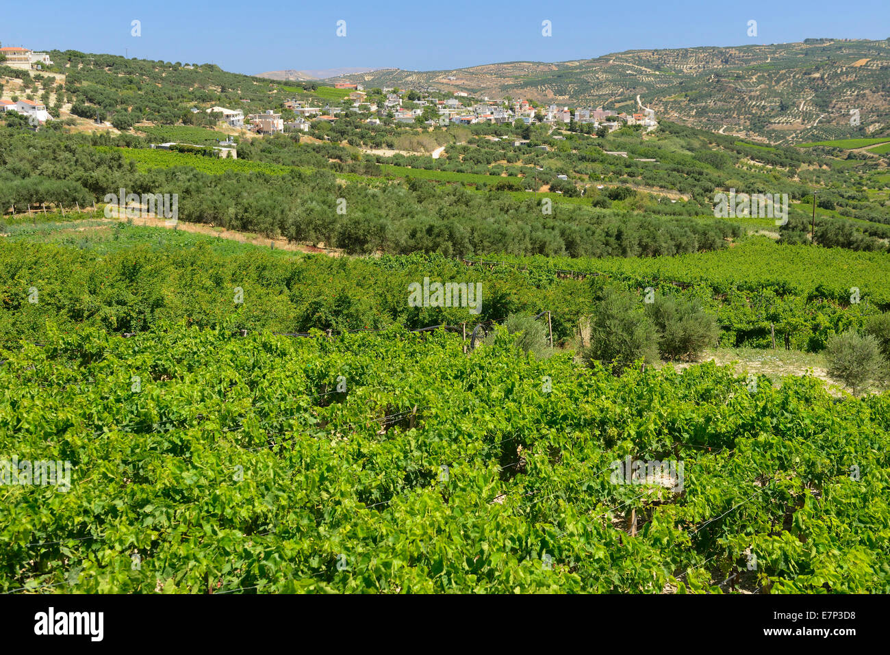 Europe, Greece, Greek, Crete, Mediterranean, island, Peza, landscape ...