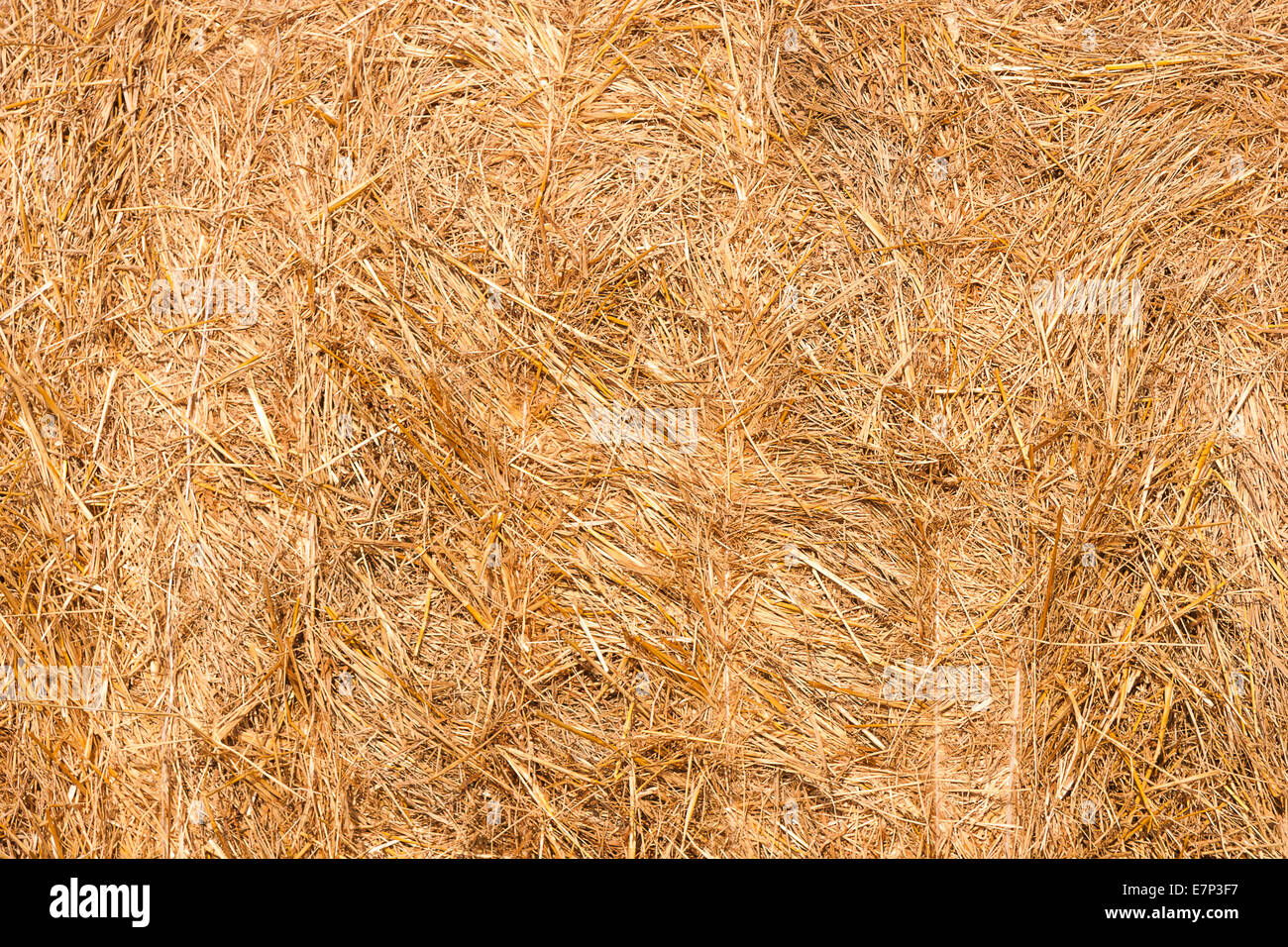 Straw haystacks hi-res stock photography and images - Alamy