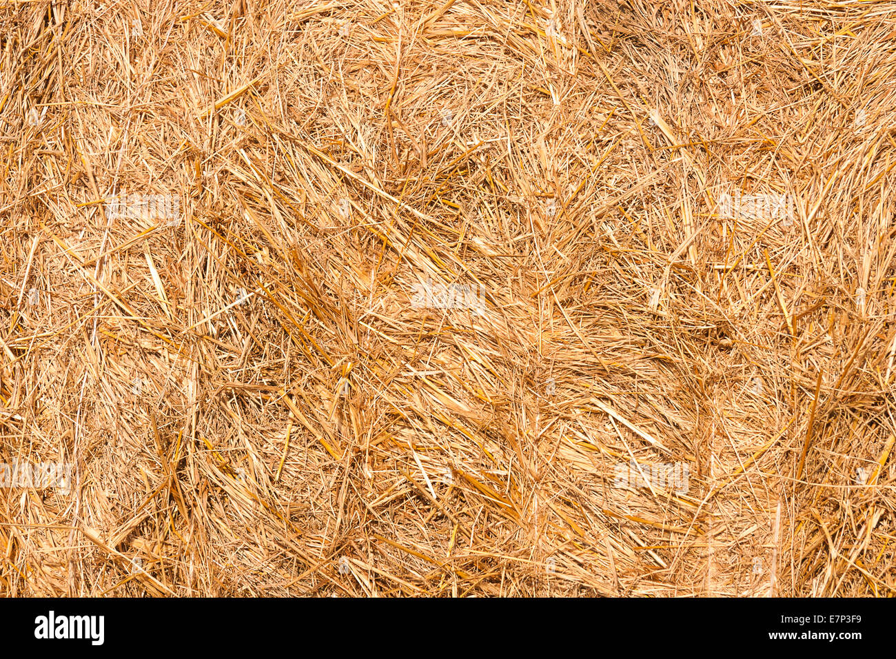 Texture haystack hi-res stock photography and images - Alamy