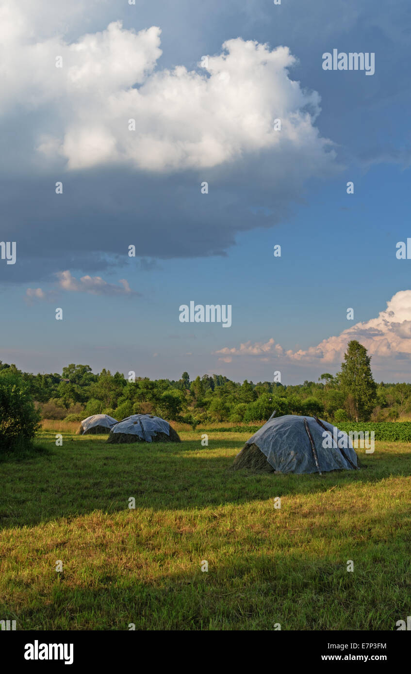 Tall haystacks hi-res stock photography and images - Alamy