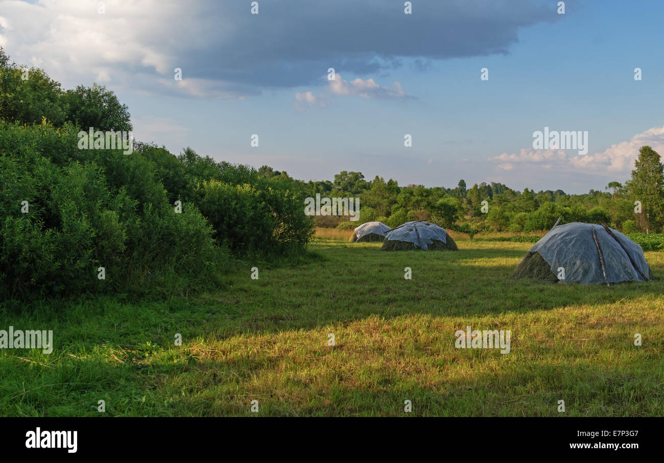 Tall haystacks hi-res stock photography and images - Alamy