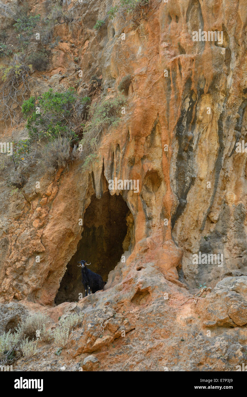 Europe, Greece, Greek, Crete, Mediterranean, island, Sougia, rocks ...