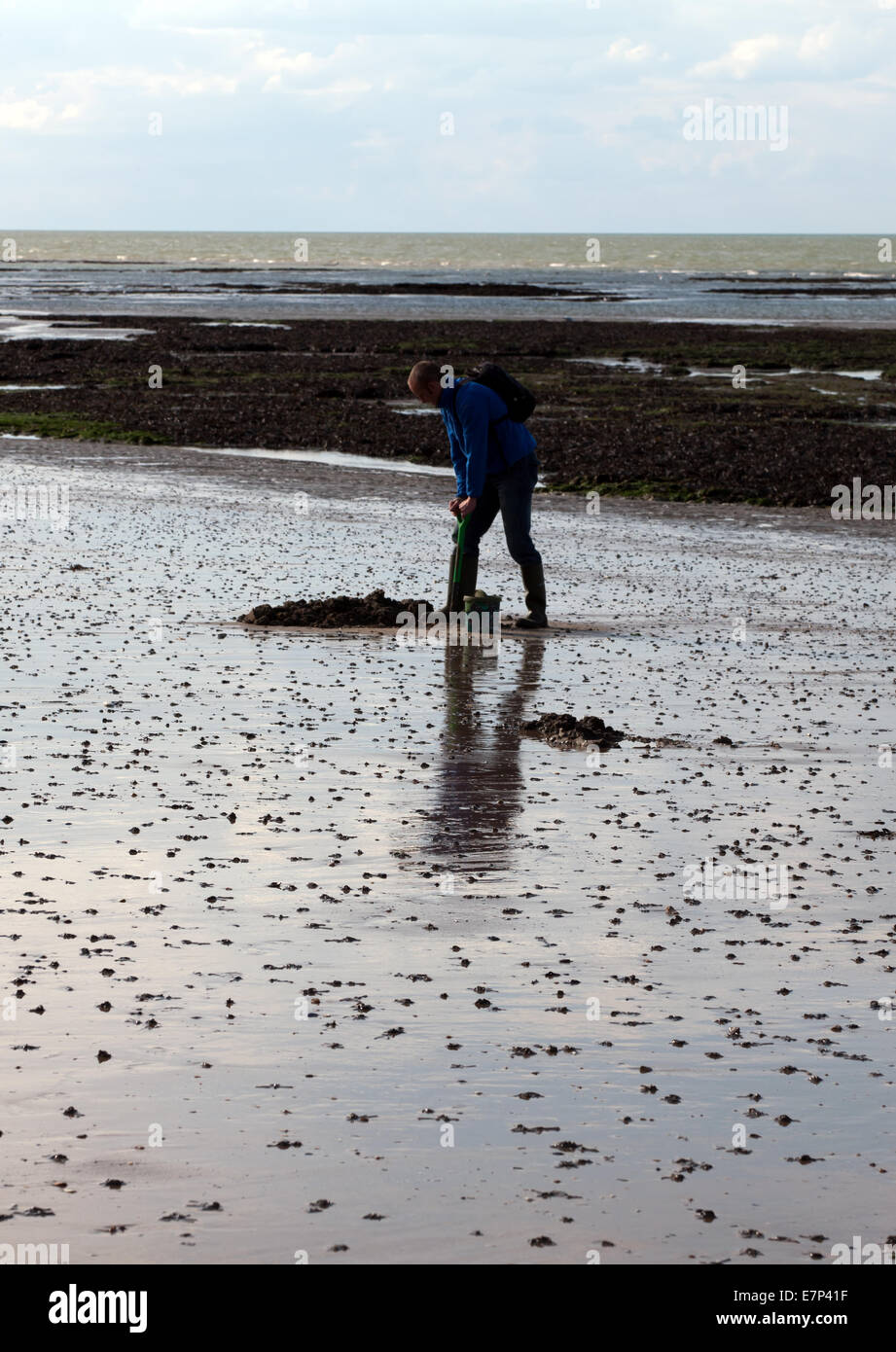 Bait Digging Beach High Resolution Stock Photography and Images - Alamy