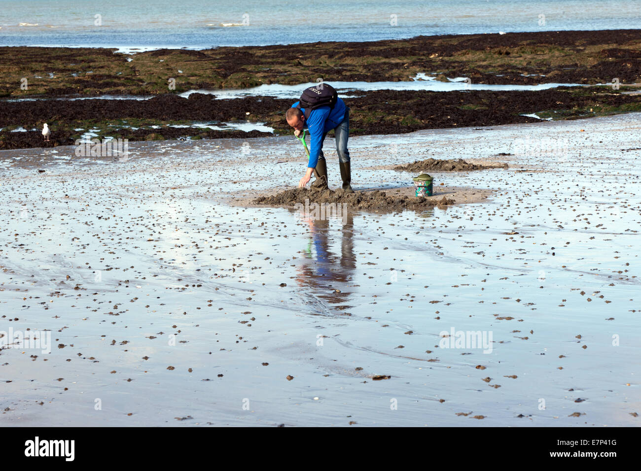 Bait digging beach hi-res stock photography and images - Alamy