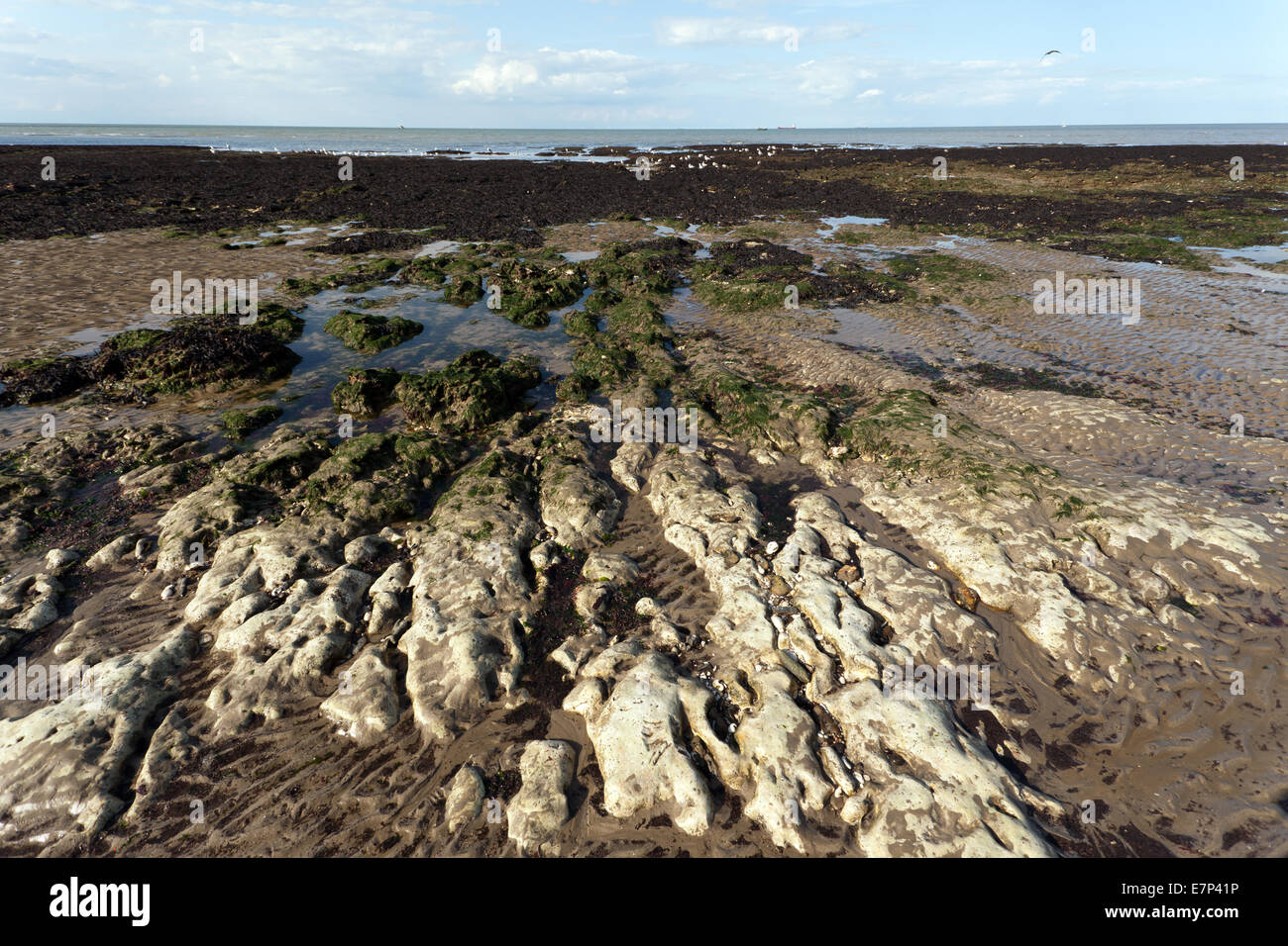 Rock pool, at low-tide, on the foreshore, in the Cliftonville area of ...