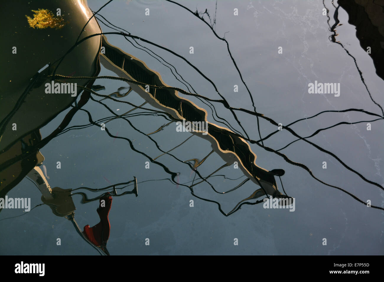 reflections of tangled ropes Stock Photo - Alamy
