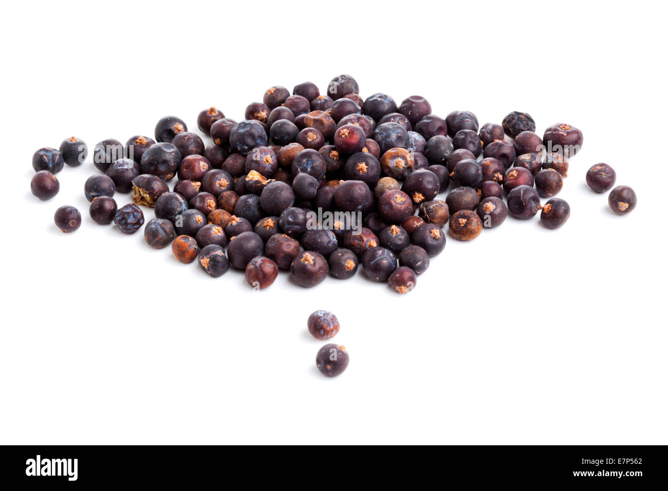 Juniper berry hi-res stock photography and images - Alamy