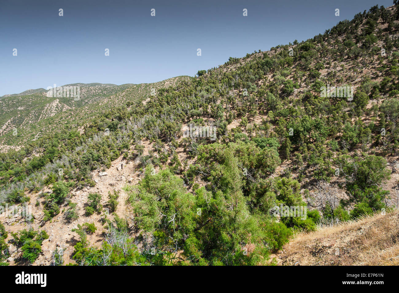 Landscape of Morocco Stock Photo - Alamy