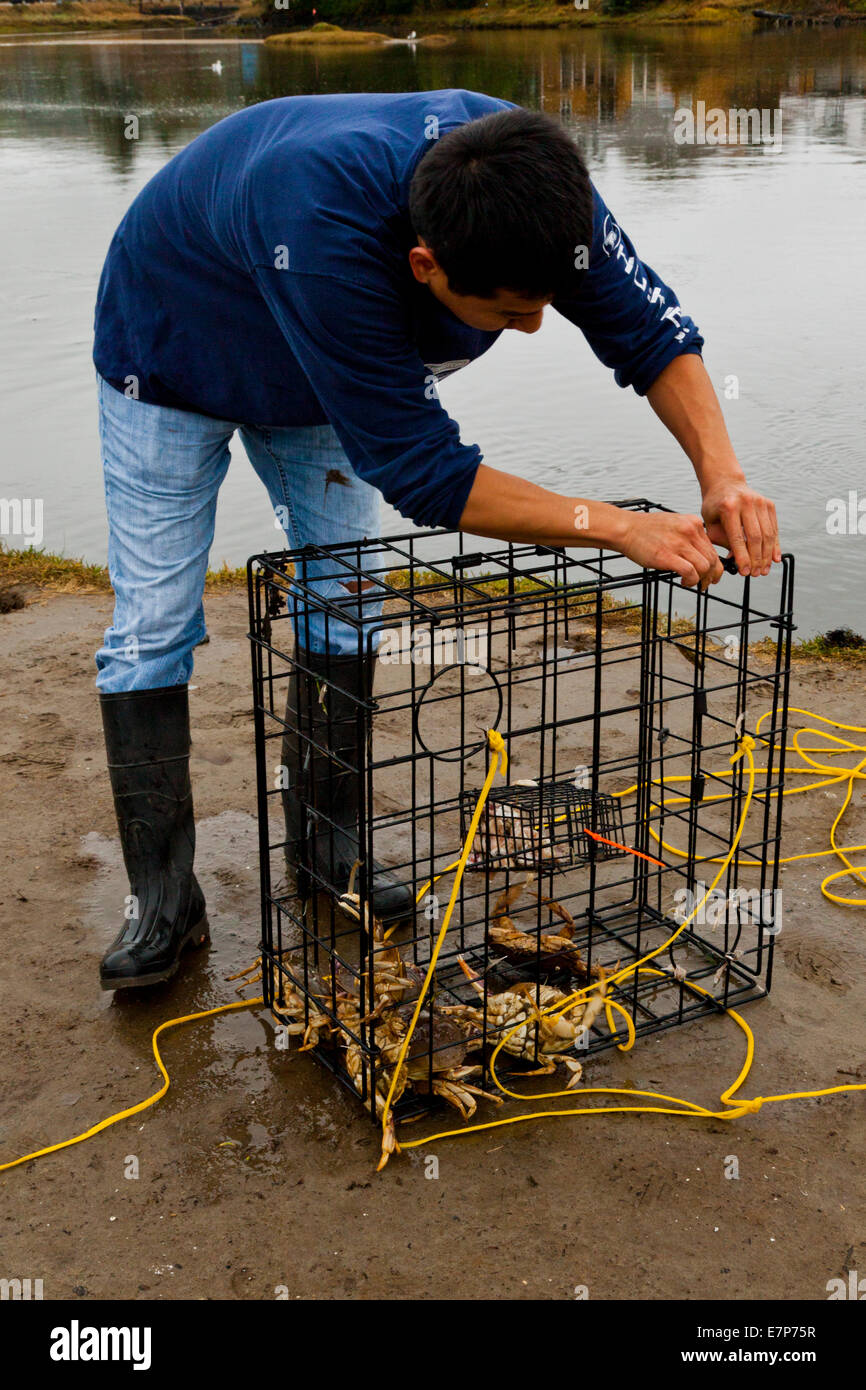 Fish cage hi-res stock photography and images - Alamy