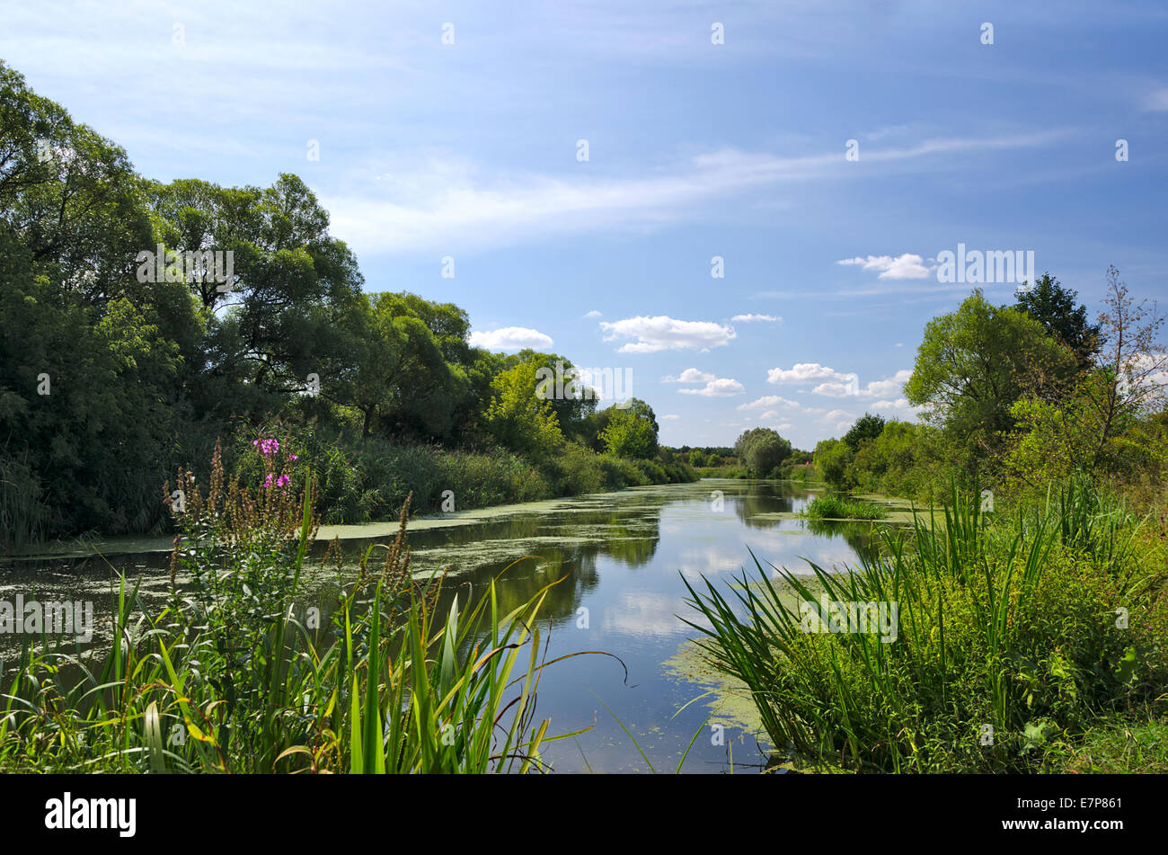 Summer landscape with a river Stock Photo - Alamy