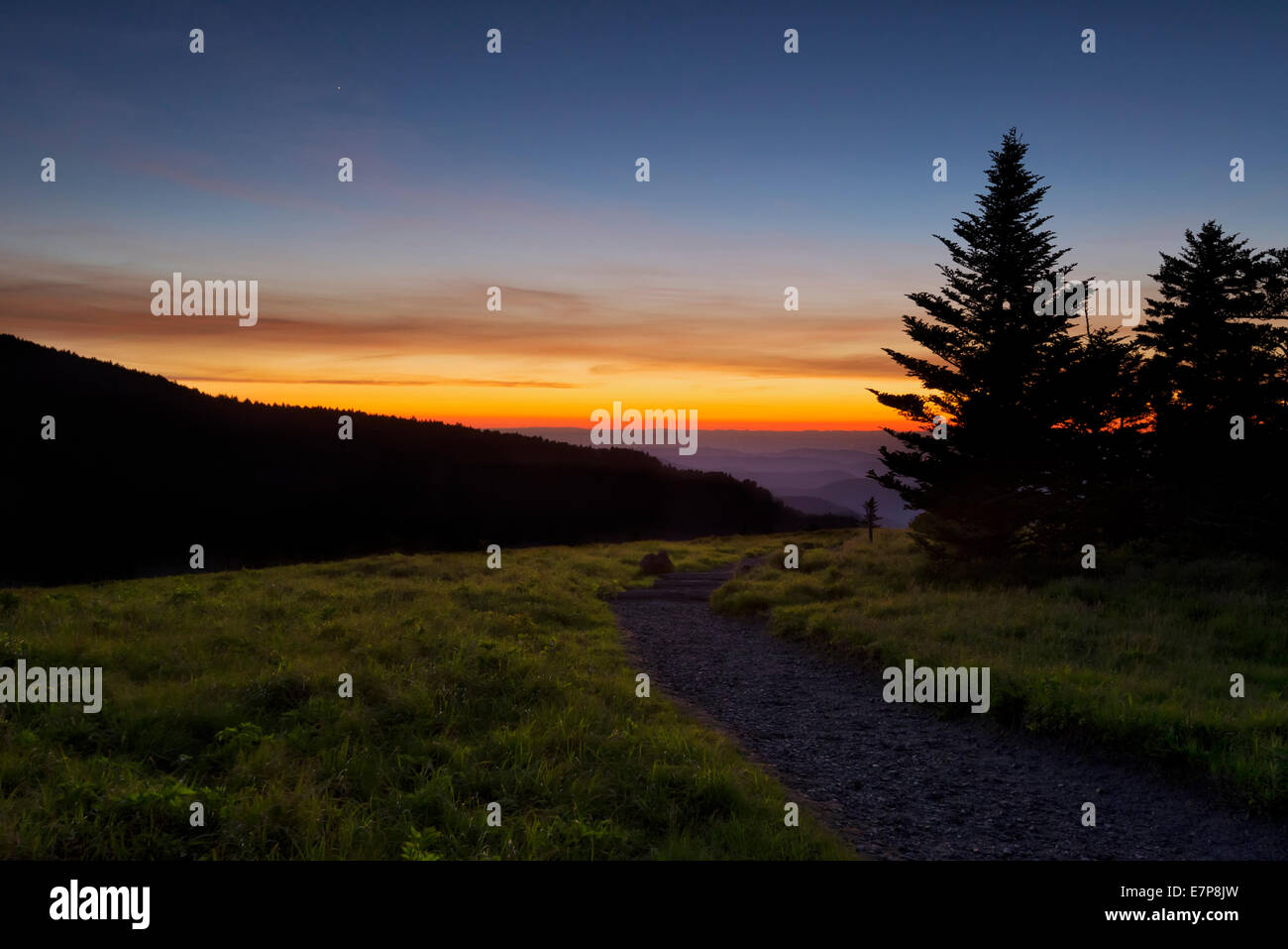 Roan mountain hi-res stock photography and images - Alamy