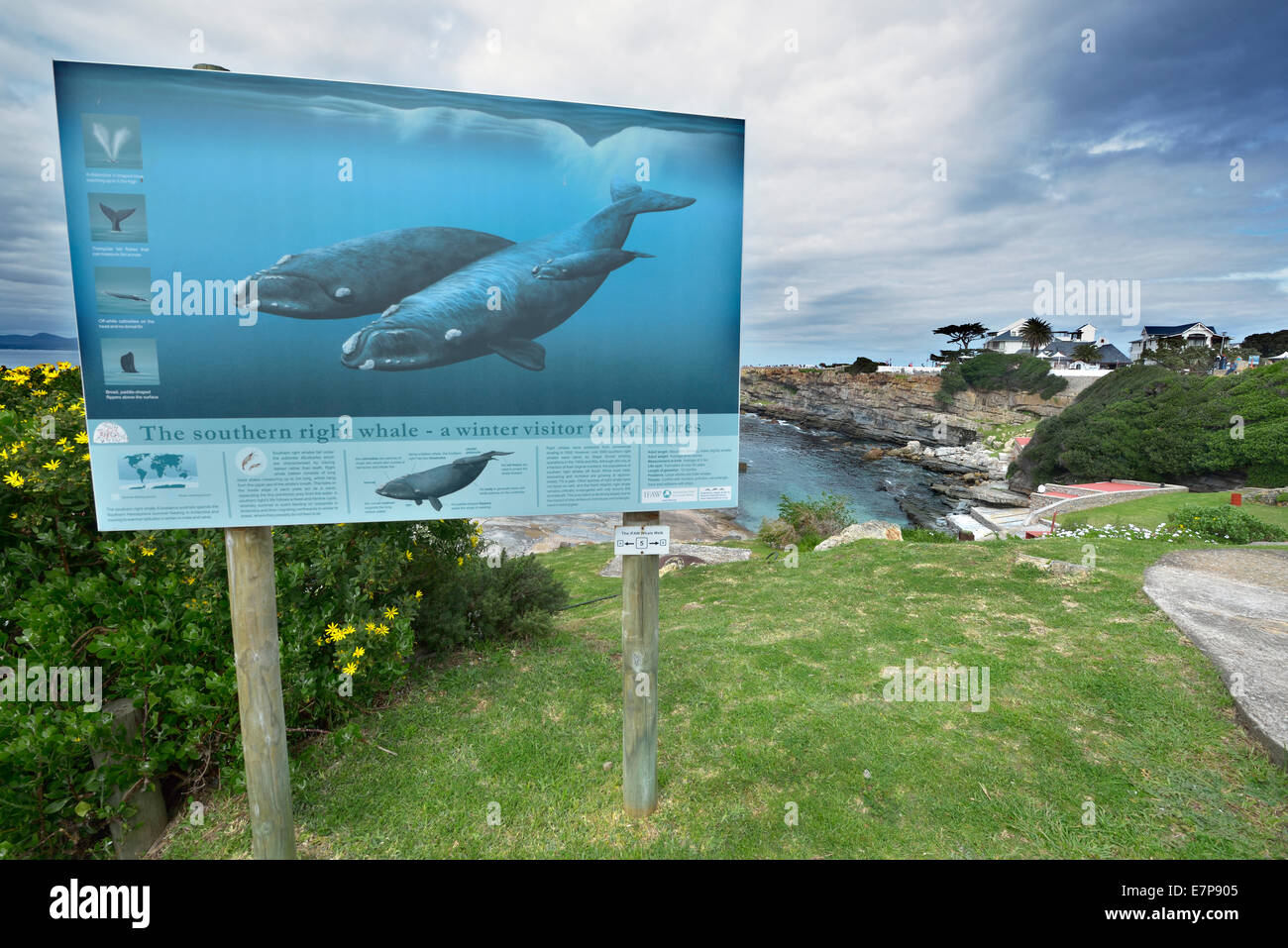 South Africa, Hermanus, tourist signage Stock Photo - Alamy