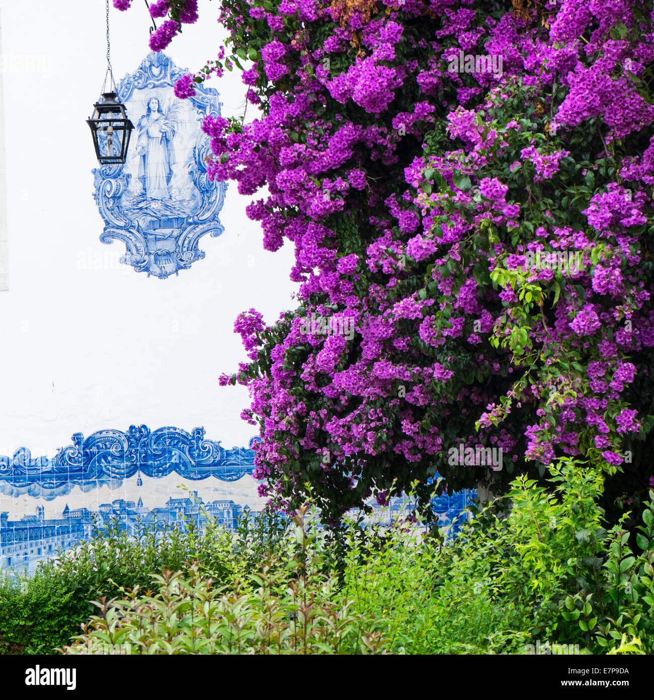 Portugal, Lisbon, Purple flowers in front of tiled Santa Luzia Church ...