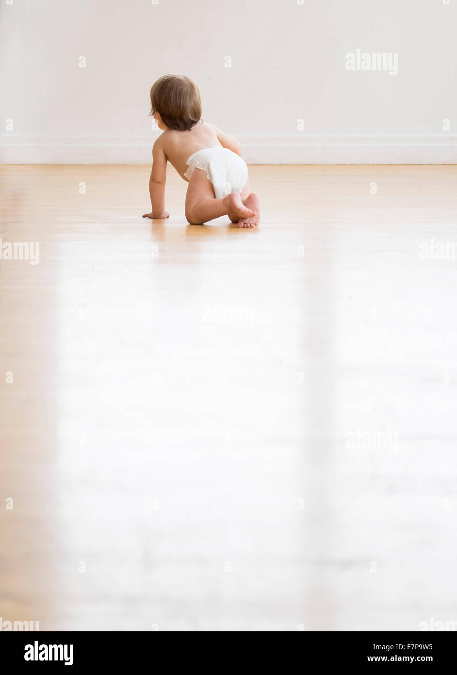 Rear view of baby girl (18-23 months) on hardwood floor Stock Photo - Alamy