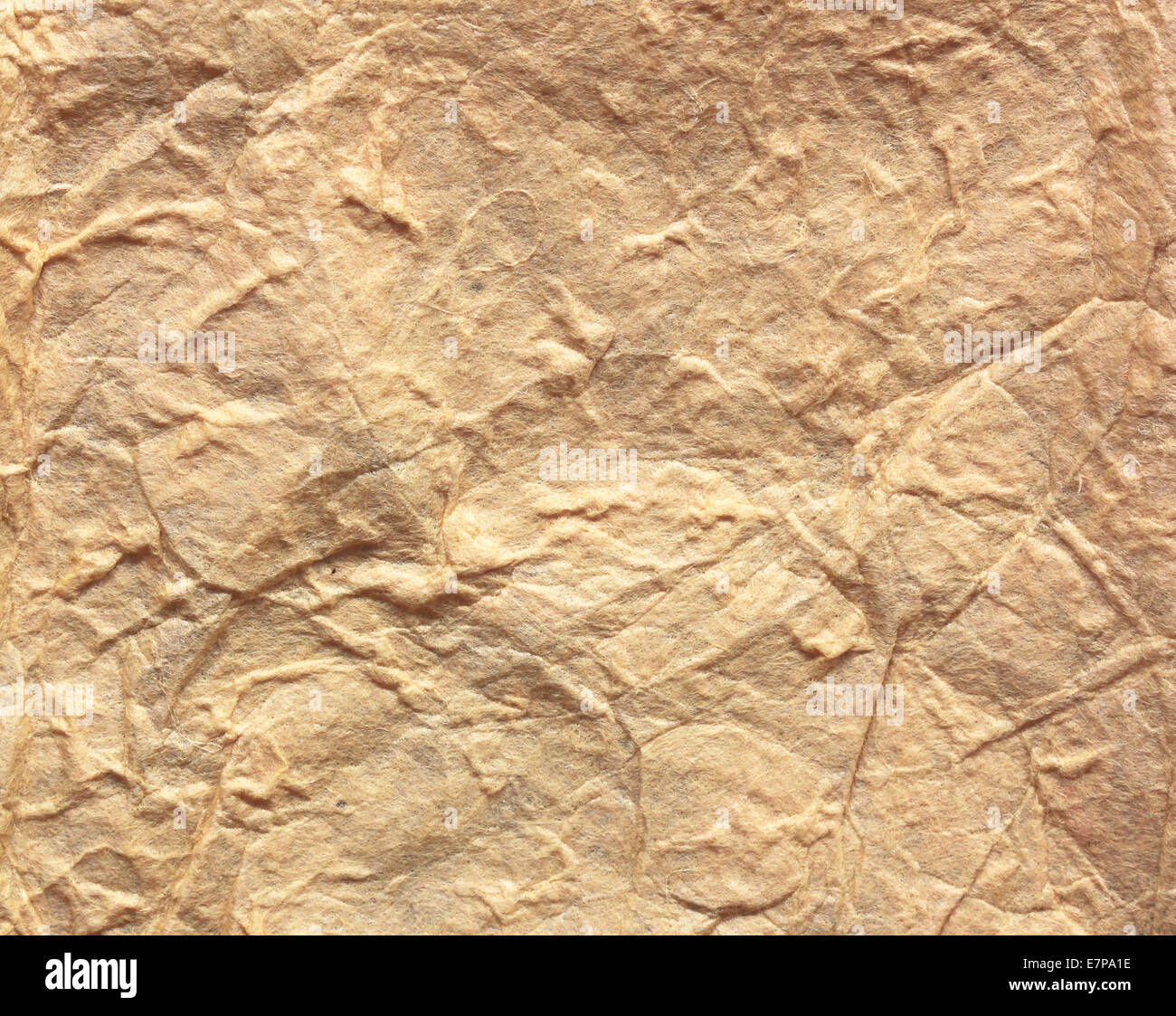 Creases subjected dan brown paper texture pattern abstract background ...