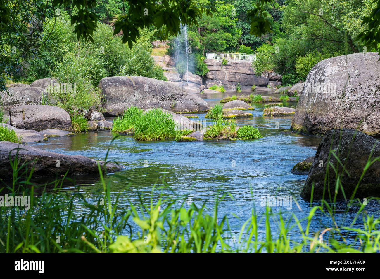 Stream in the tropical forest. Environment sunny landscape Stock Photo ...