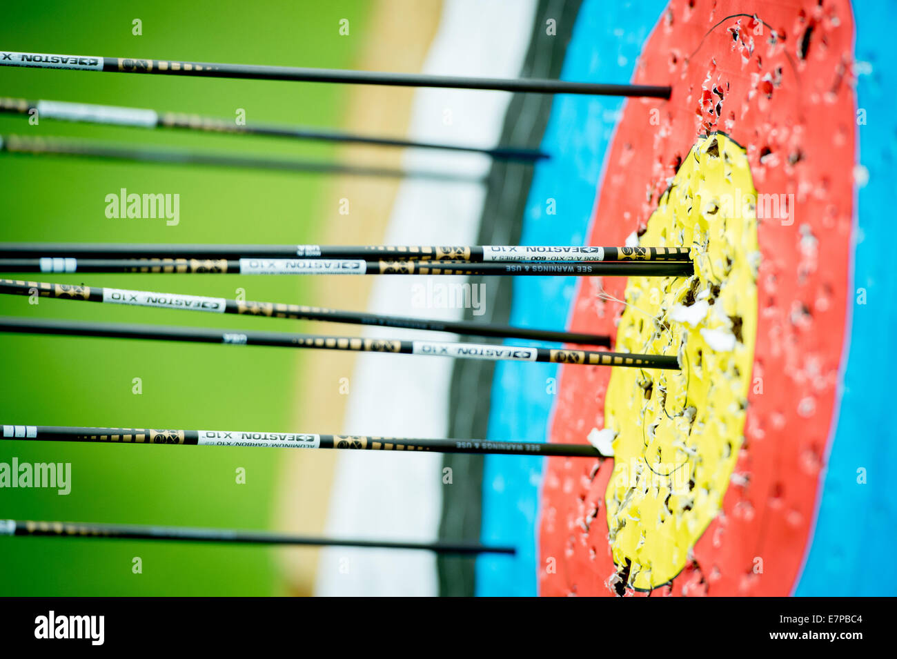 The archer has shot a lot of arrows in the target Stock Photo - Alamy