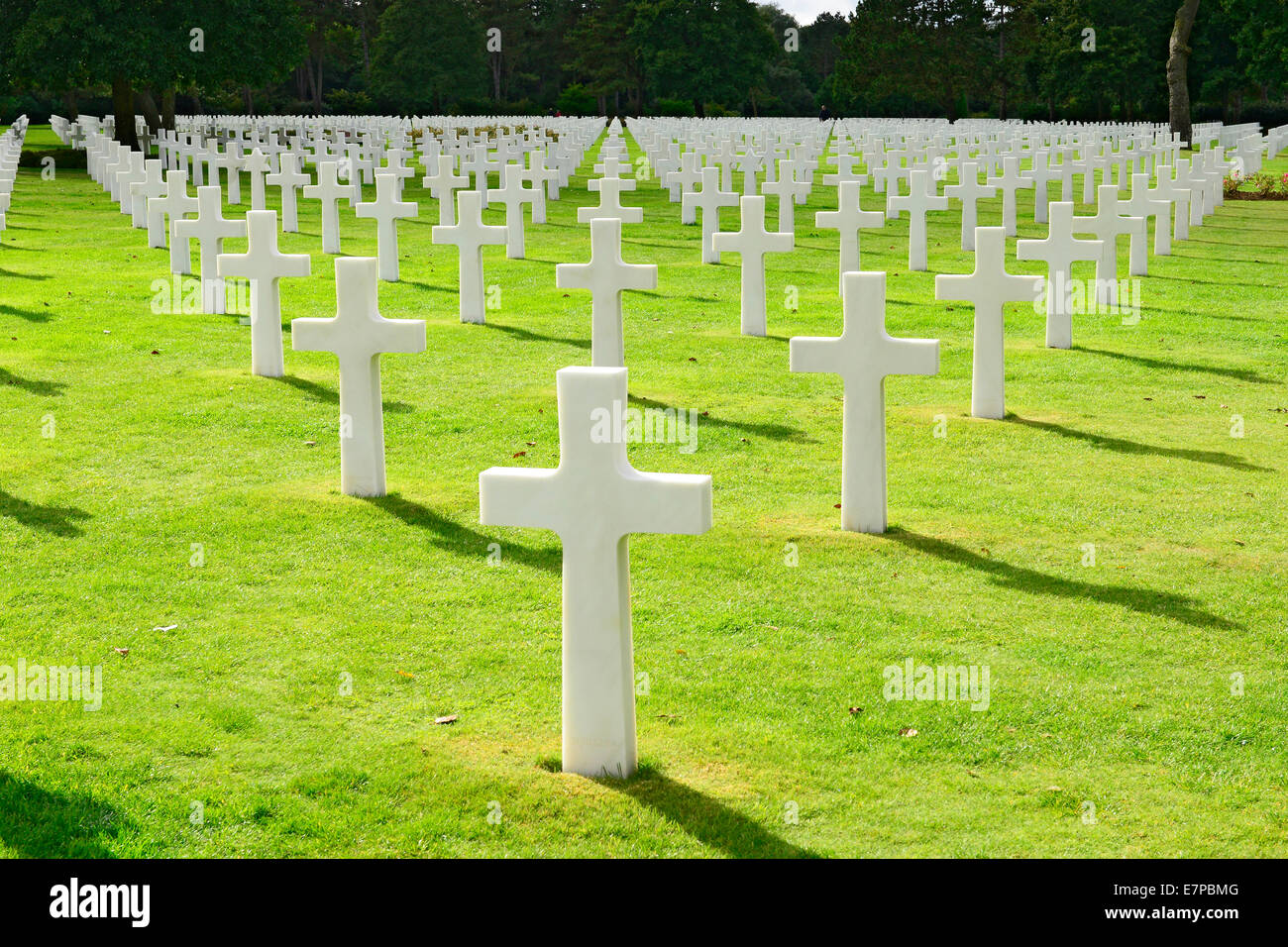 Cross Grave Markers Normandy American Cemetery France Colleville Sur ...