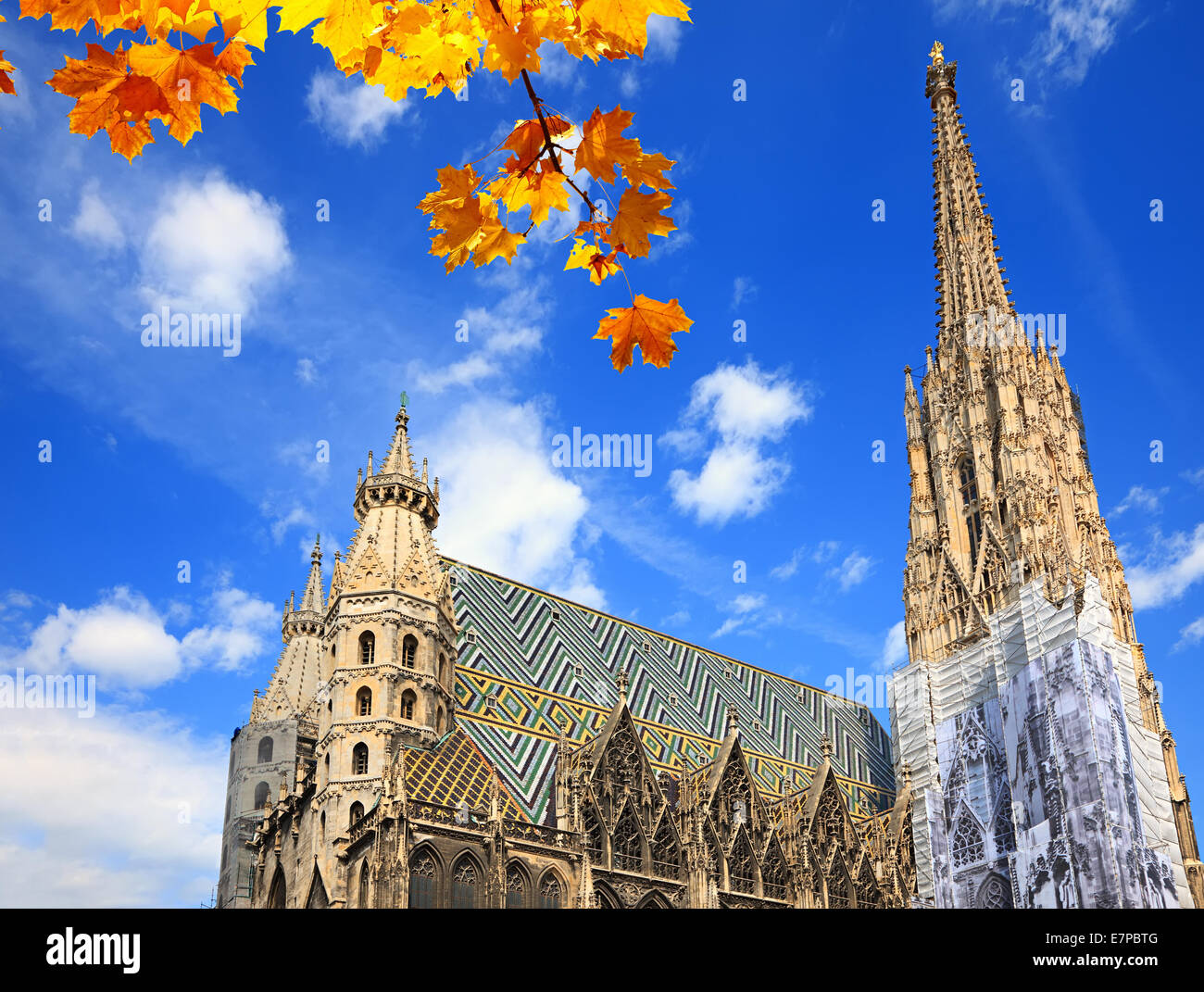 Vienna cathedral hi-res stock photography and images - Alamy