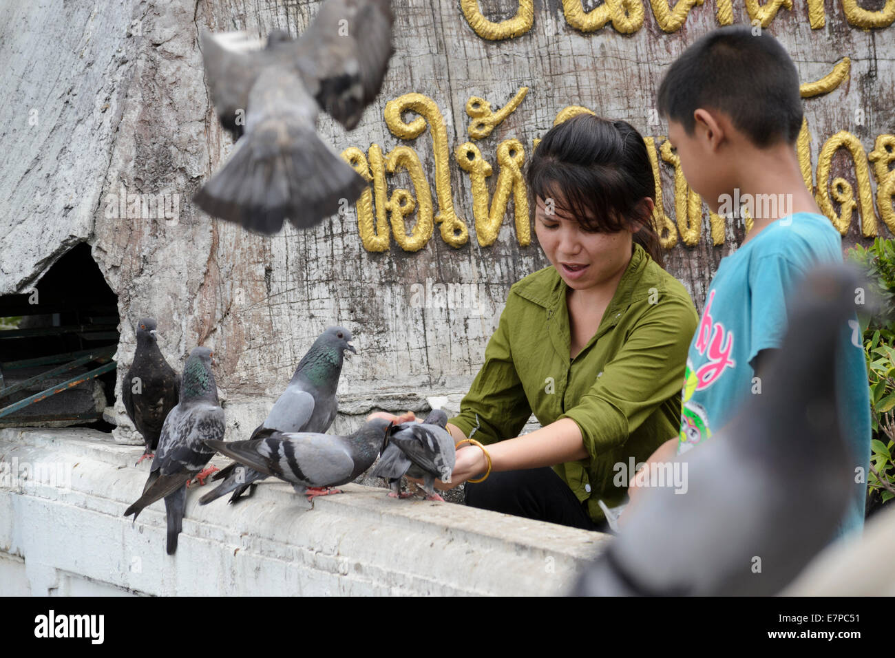 People are feeding food to birds Stock Photo - Alamy