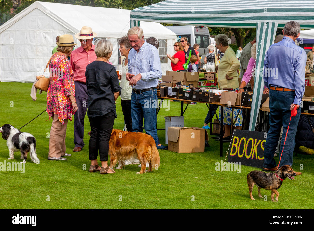 Book stall books secondhand hi-res stock photography and images - Alamy