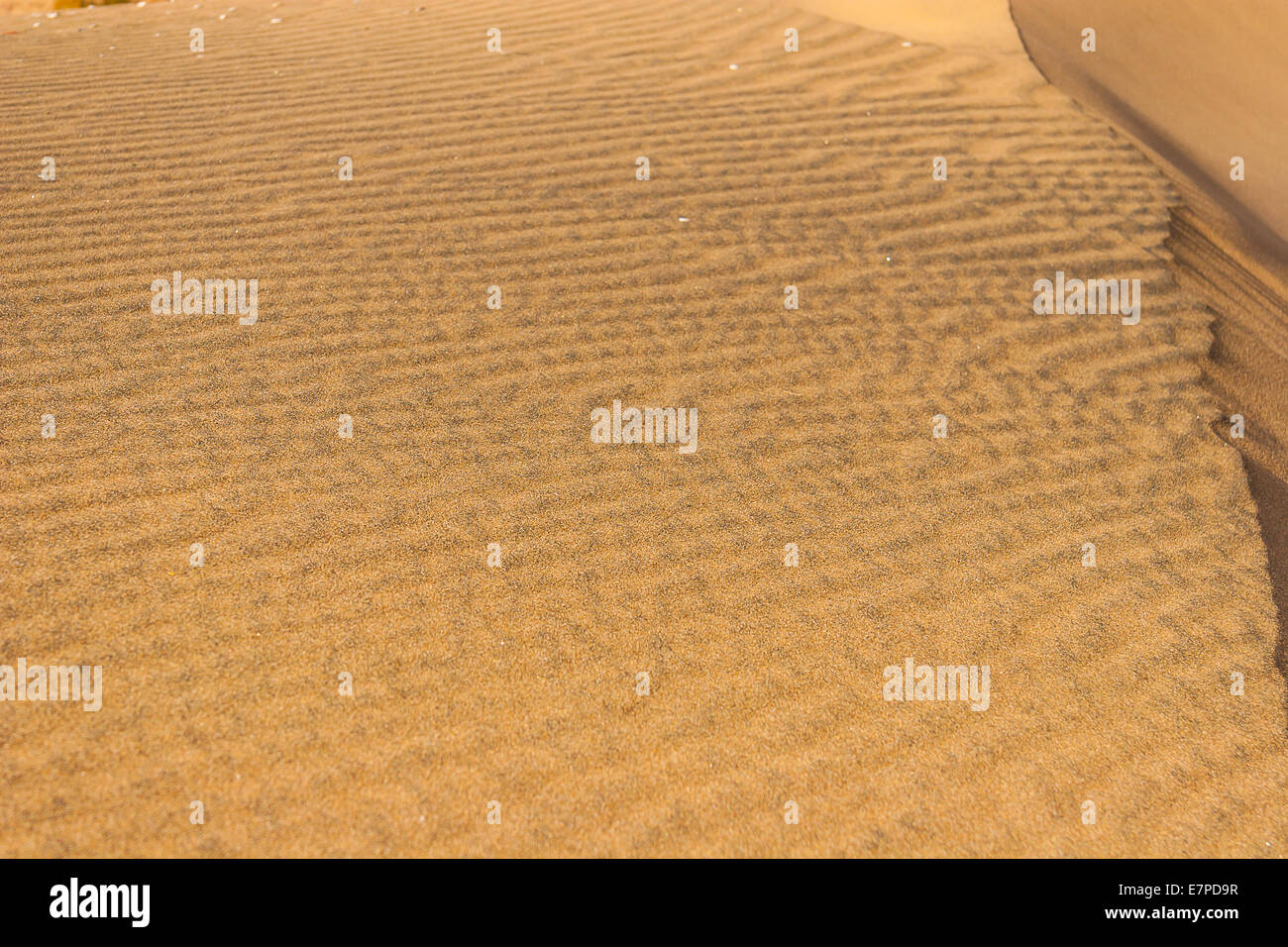 Souss plain hi-res stock photography and images - Alamy