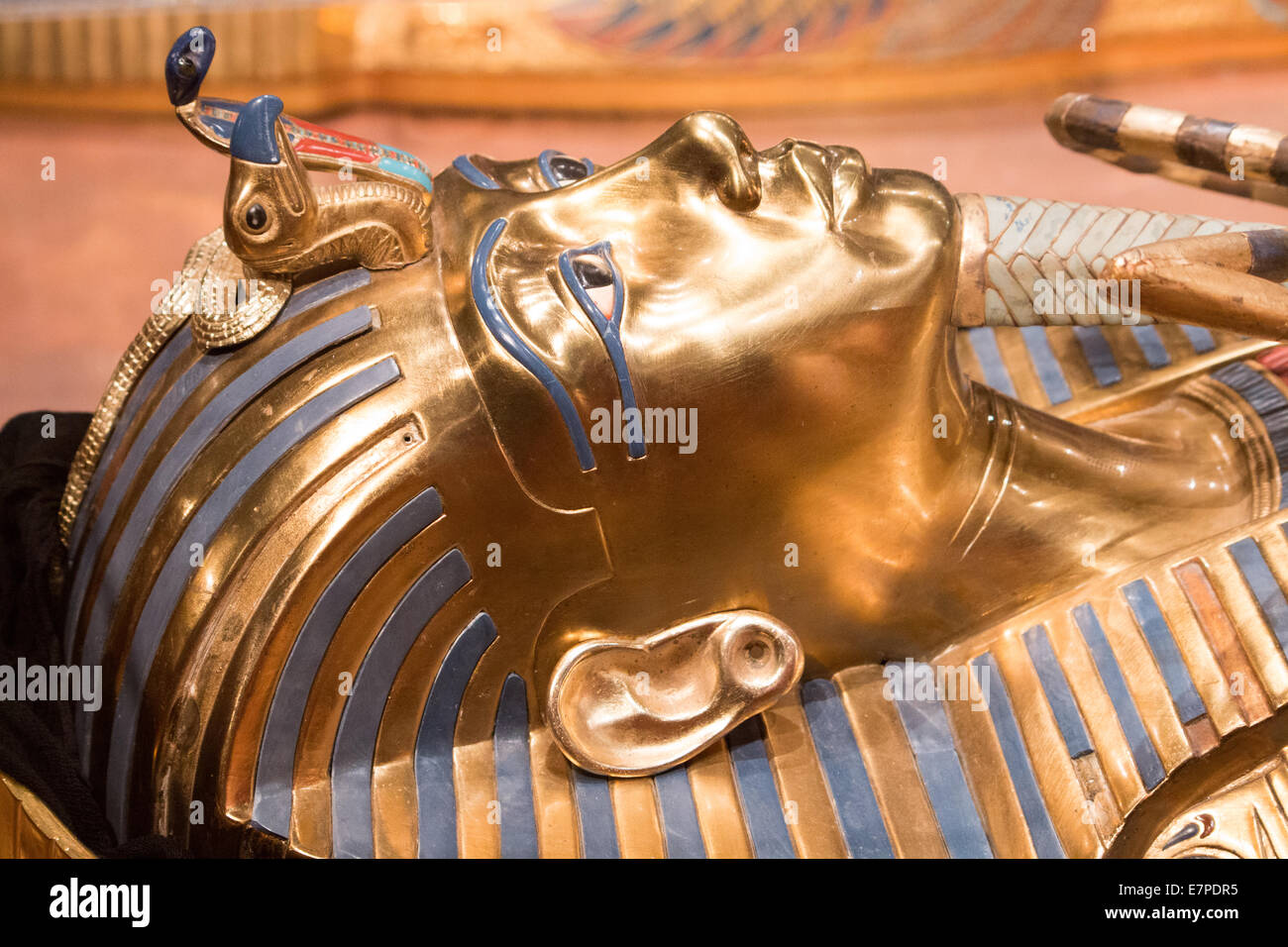 King tut head shot laying down Stock Photo - Alamy