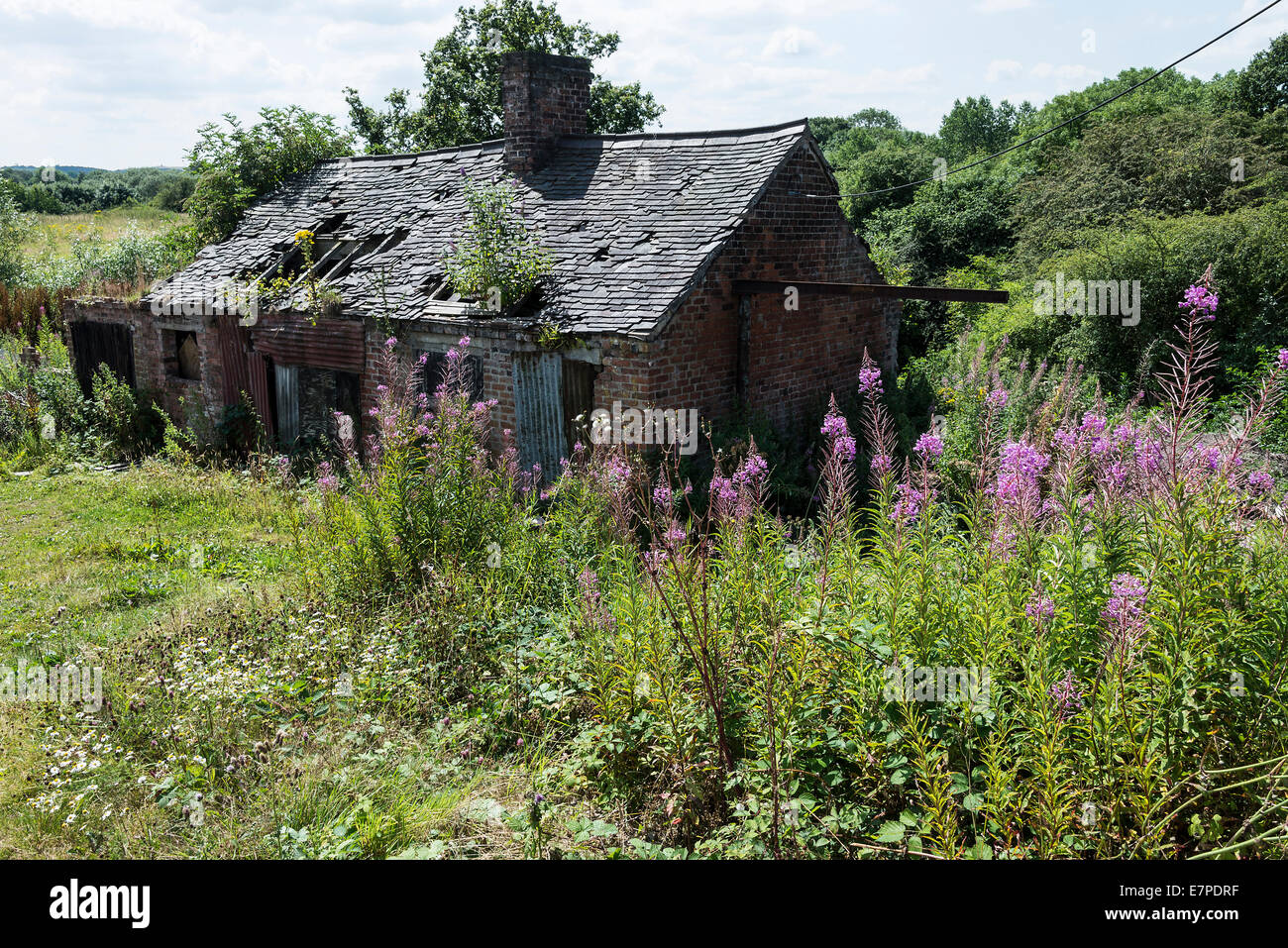 Dilapidated building uk hi-res stock photography and images - Alamy