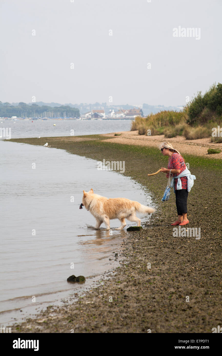 Throw stick hi-res stock photography and images - Alamy