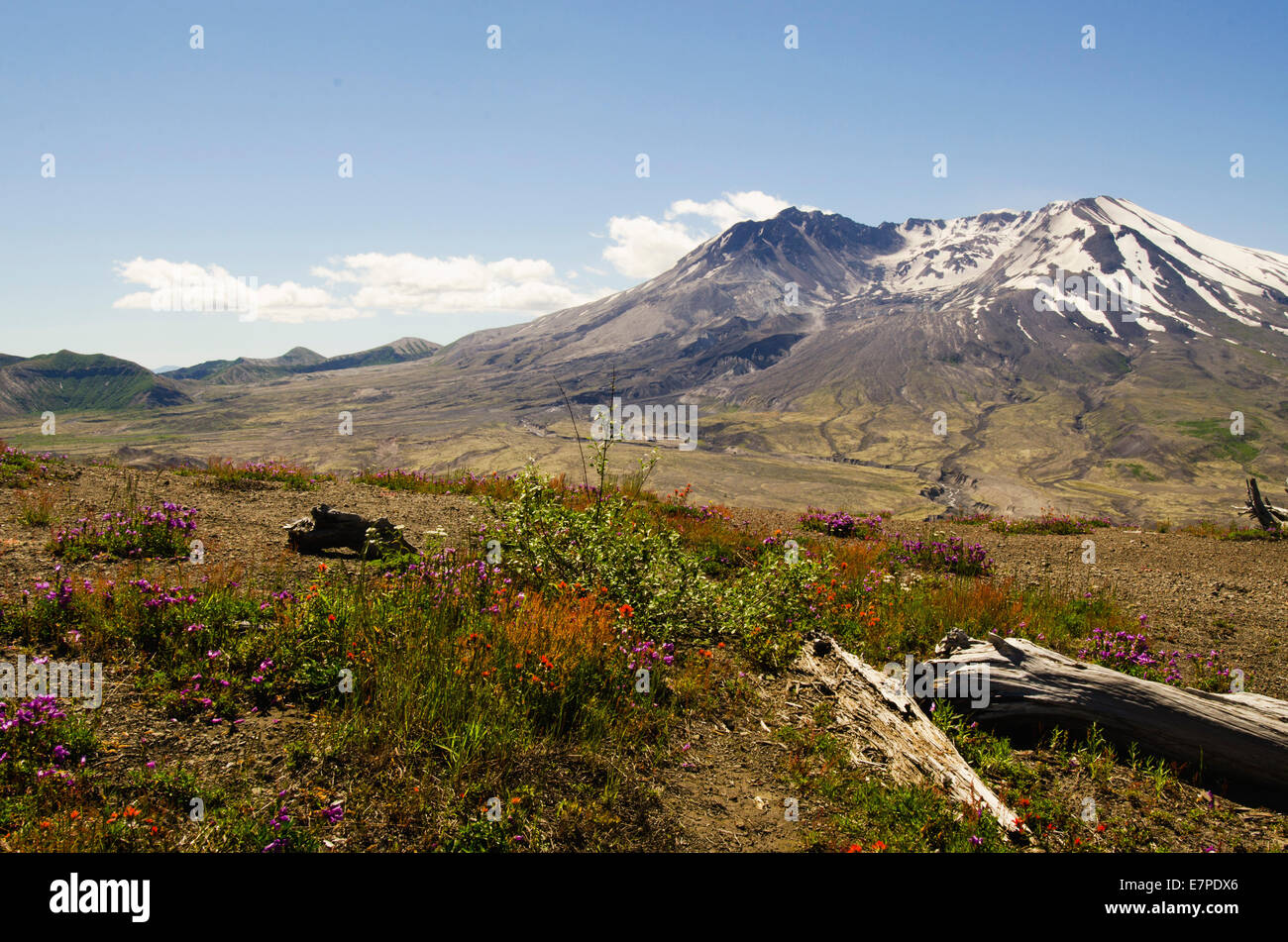 USA, Washington State, Mount St Helen's Stock Photo - Alamy
