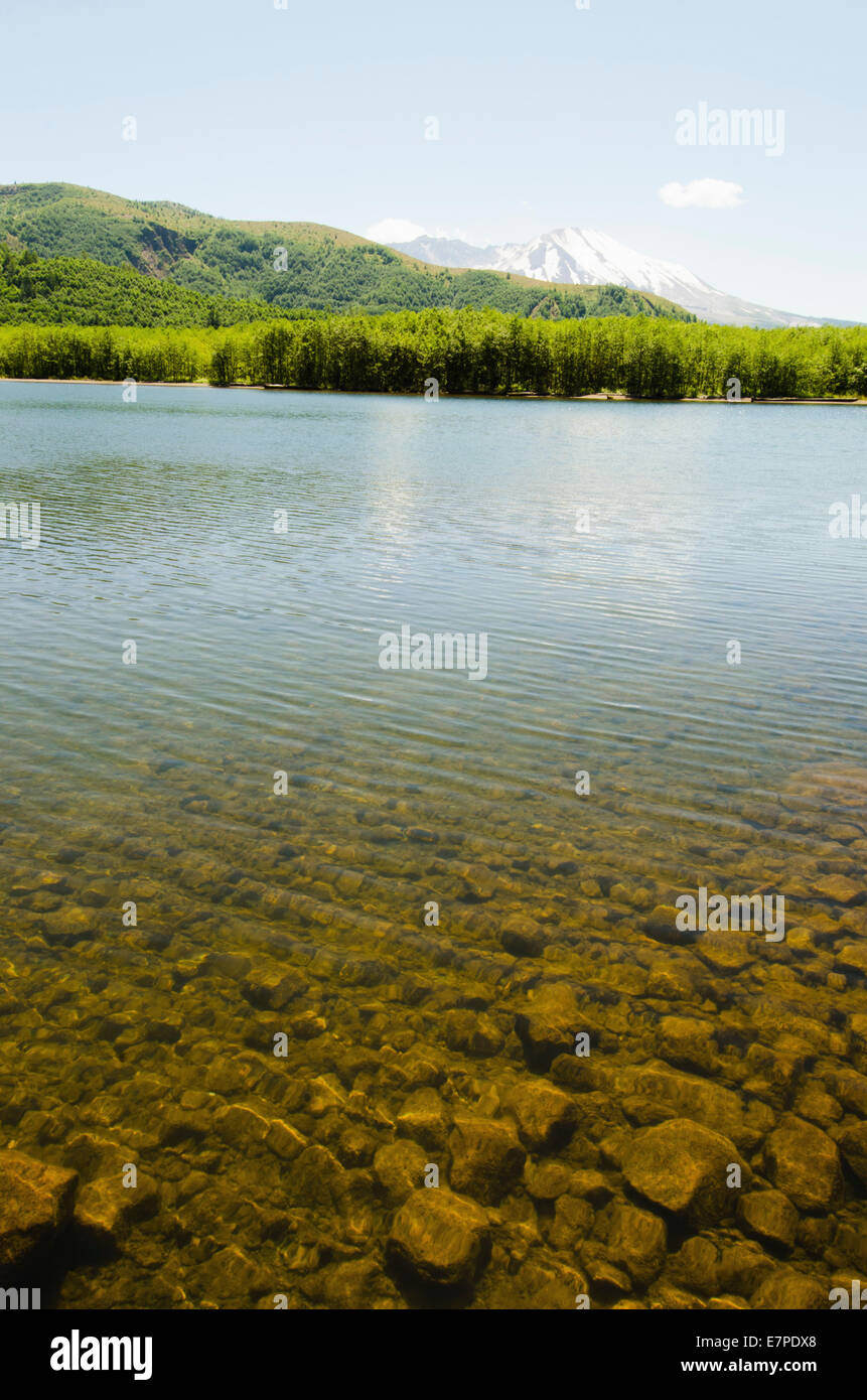 USA, Washington State, Mount St Helen's Stock Photo - Alamy