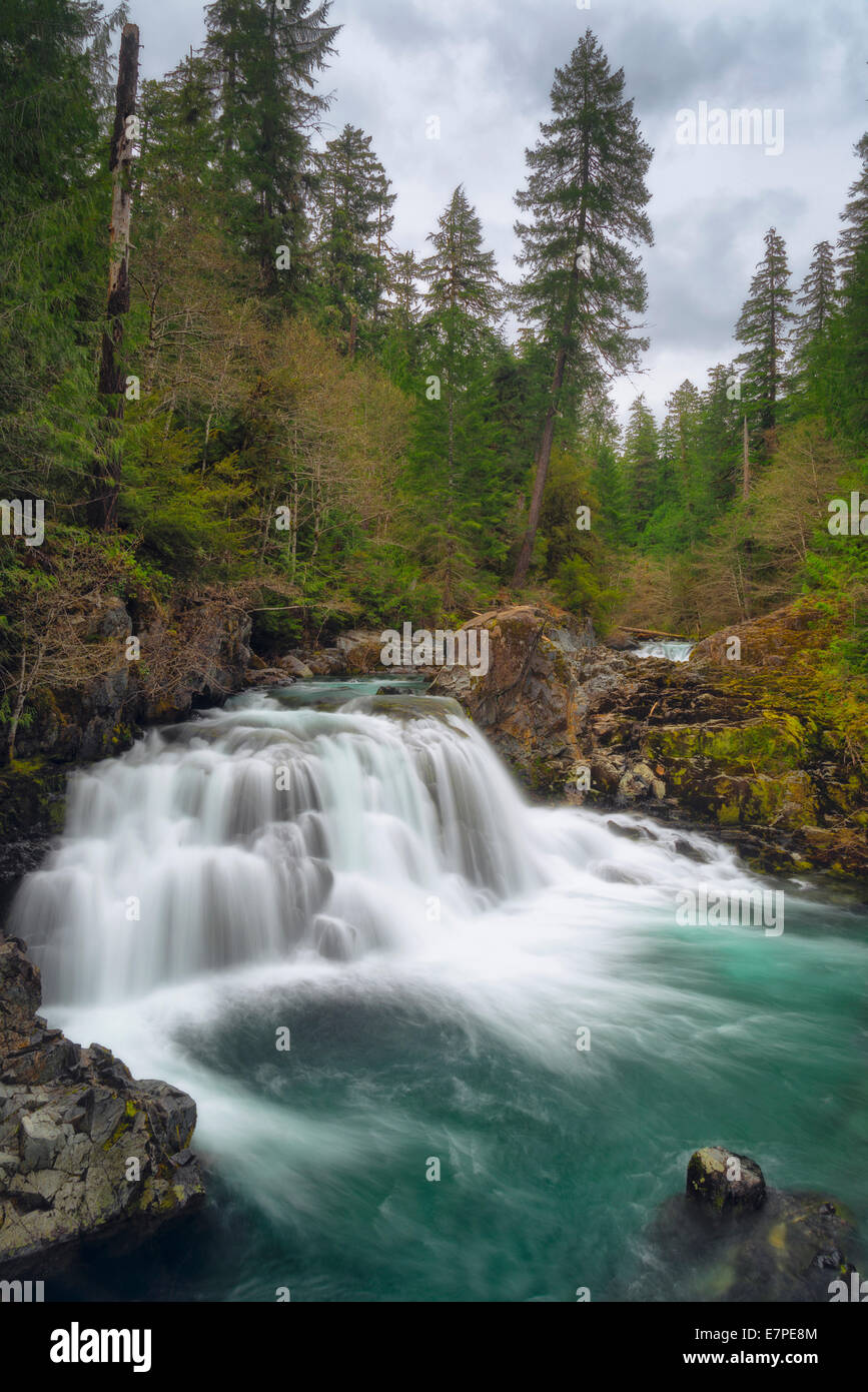 Little santiam river hi-res stock photography and images - Alamy