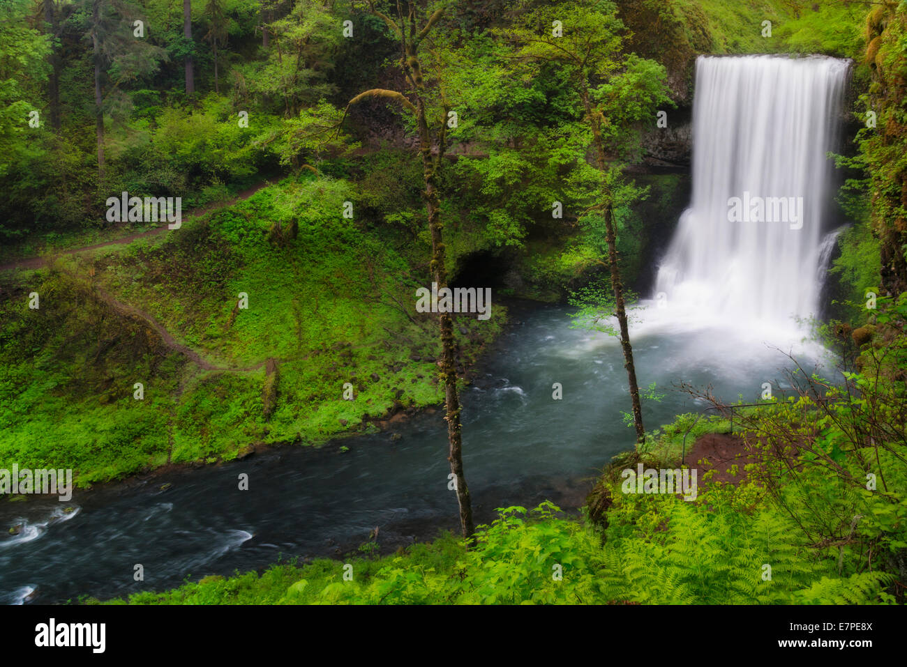 USA, Oregon, Silver state park, Lower North Falls Stock Photo - Alamy