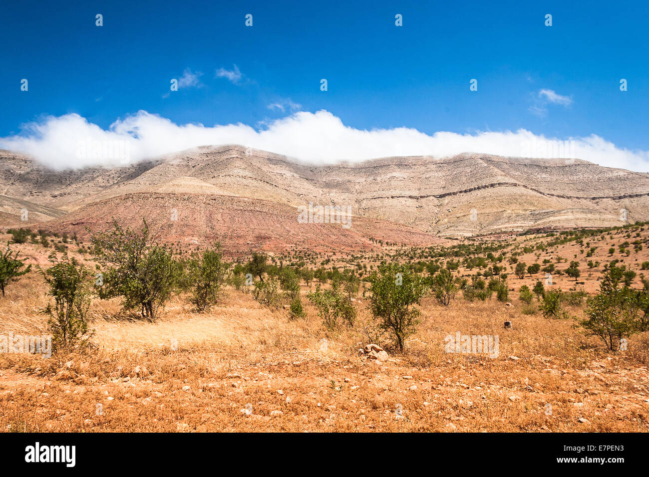 Landscape of Morocco Stock Photo - Alamy