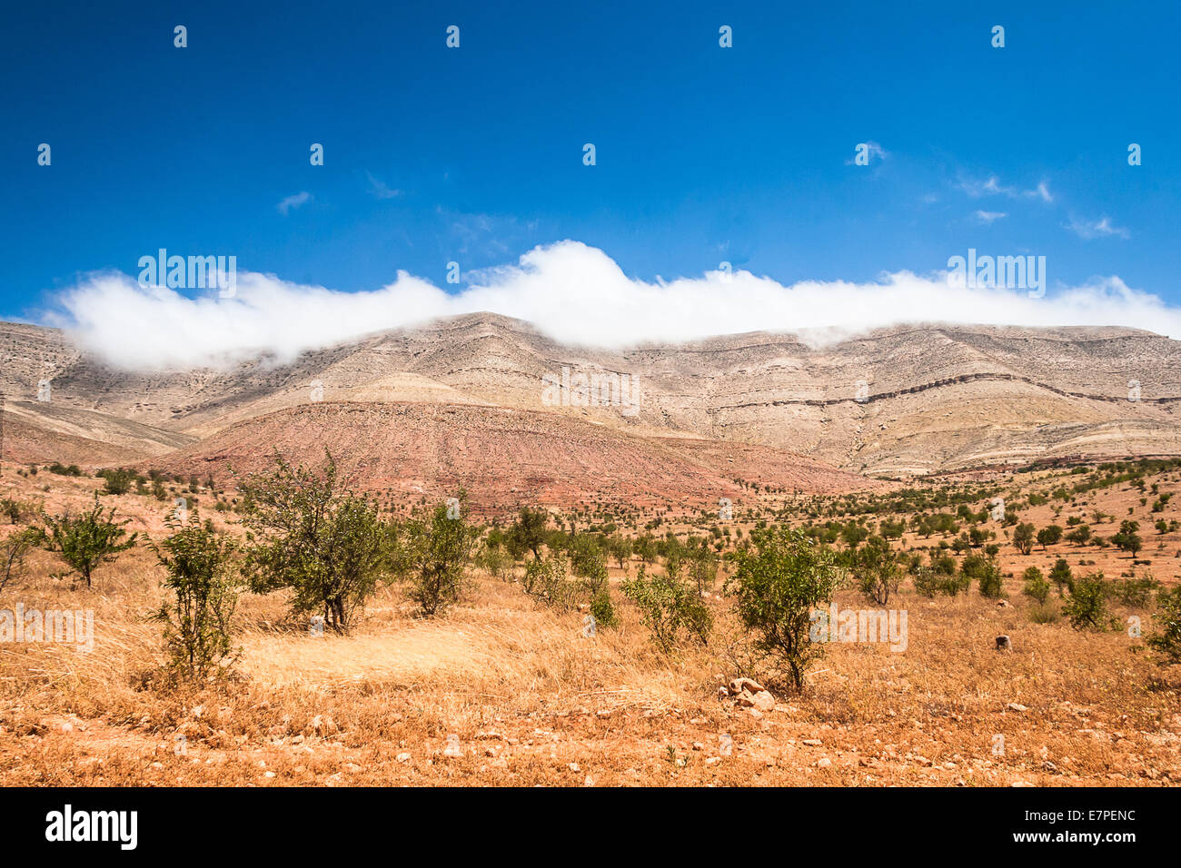 Landscape of Morocco Stock Photo - Alamy